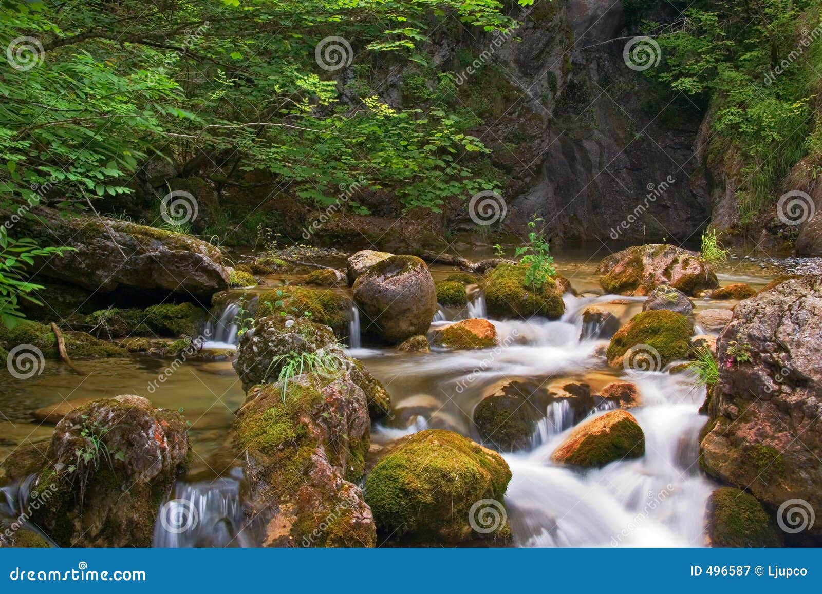 Bach im Wald stockbild. Bild von hintergrund, malerisch - 496587
