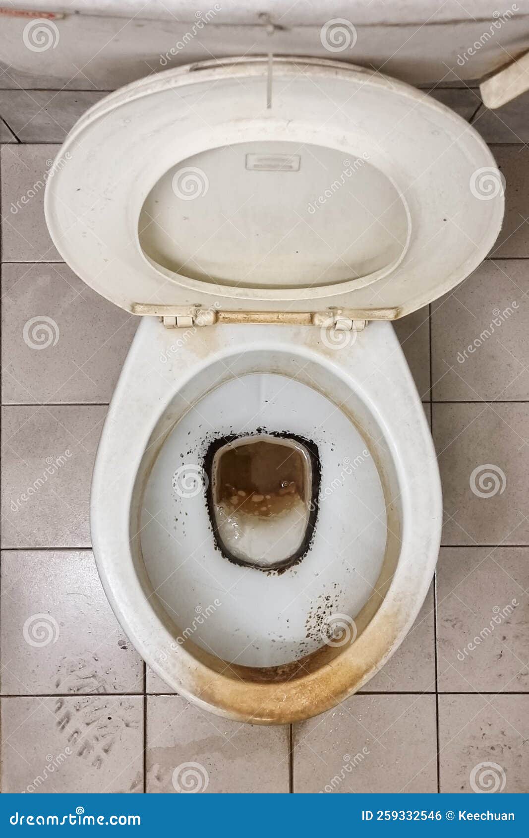 Bacia De Sanita Suja E Fedida Com Cal Foto de Stock - Imagem de mancha ...