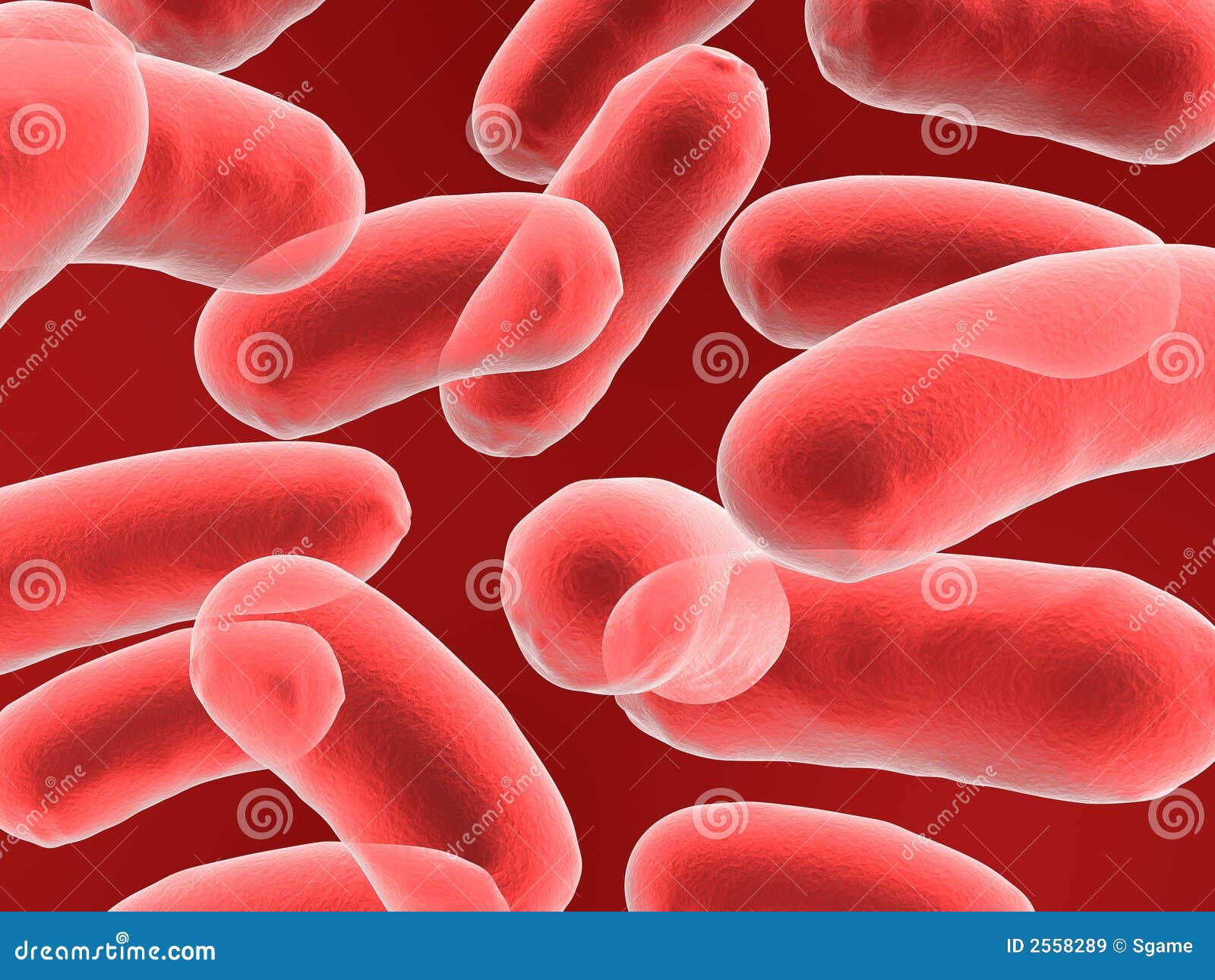 Bacil bacteriën stock illustratie. Illustration of gevaar - 2558289