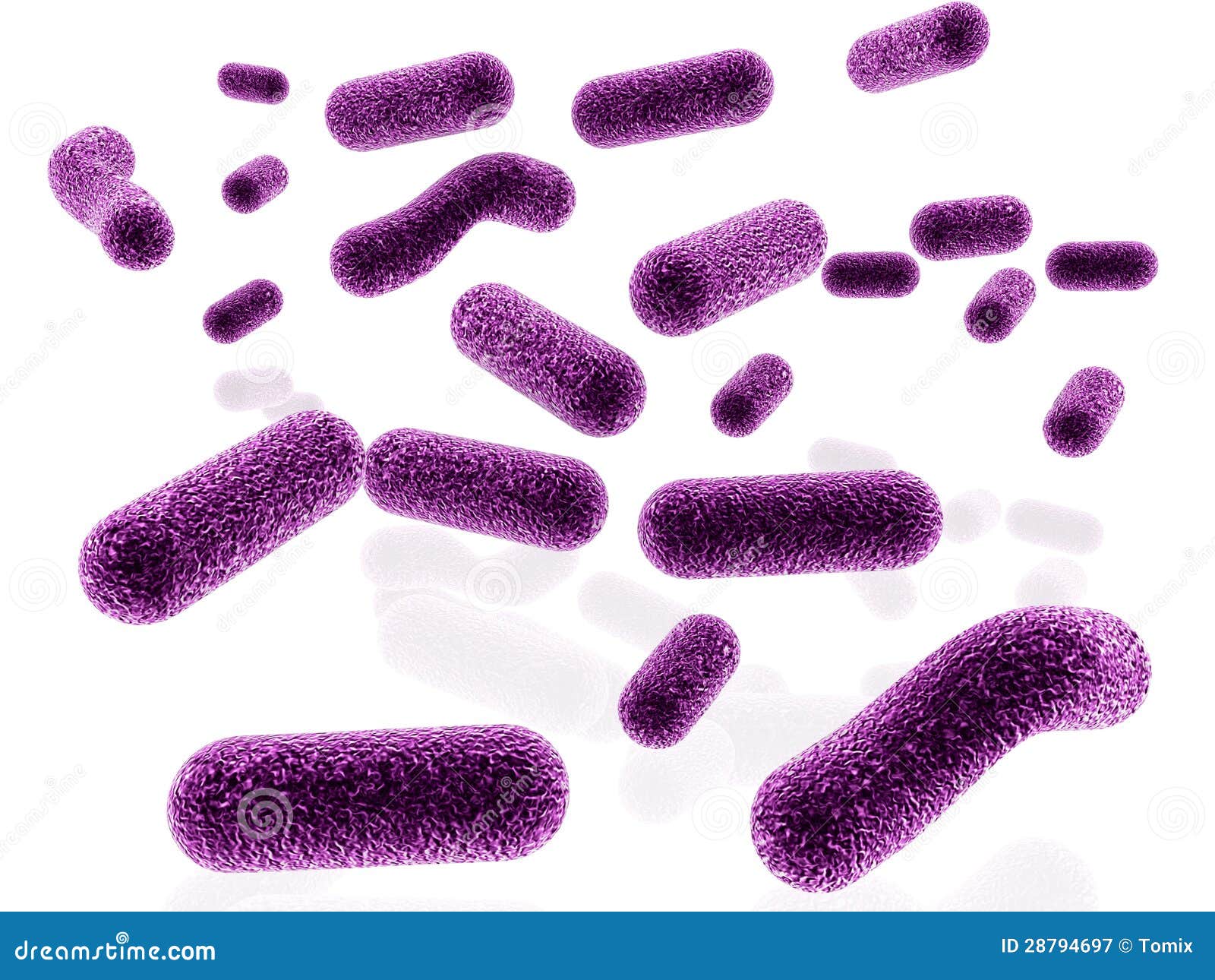 Bacil bacterias stock illustratie. Illustration of ziek - 28794697