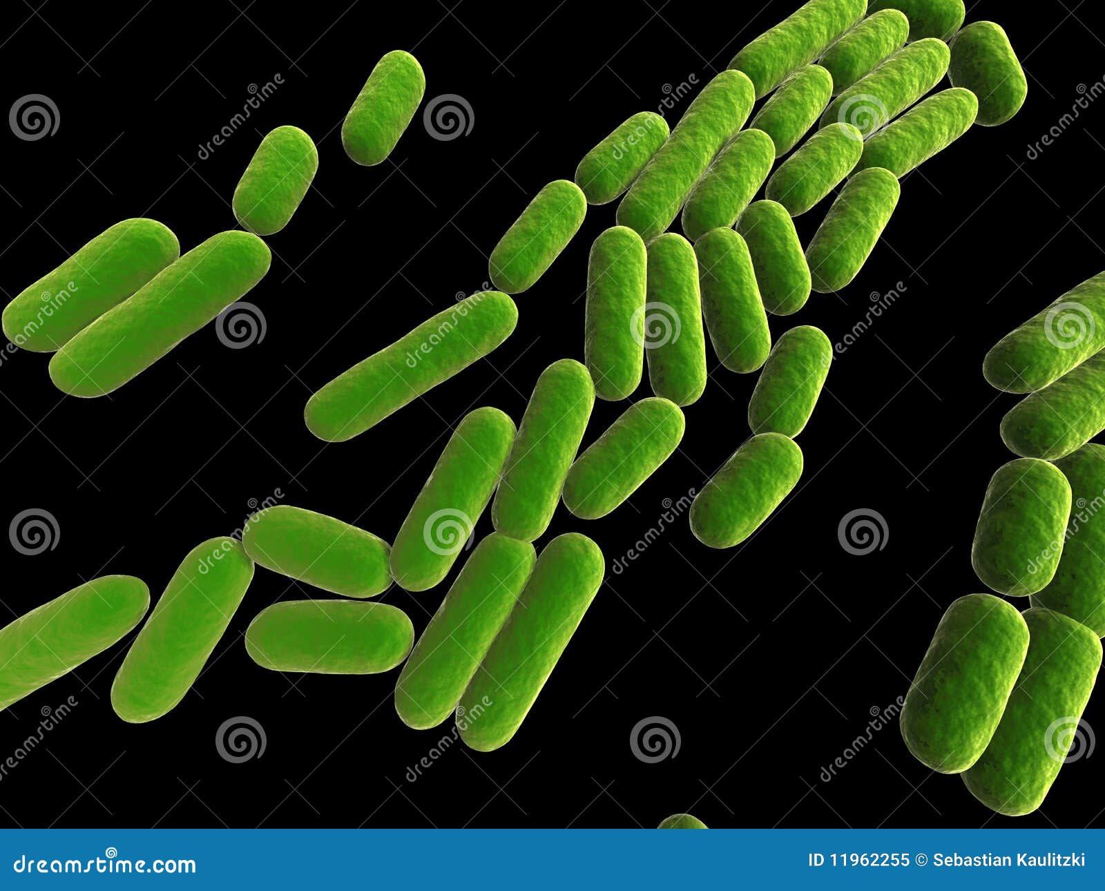 Bacil - subtilis stock illustratie. Illustration of wetenschap - 11962255