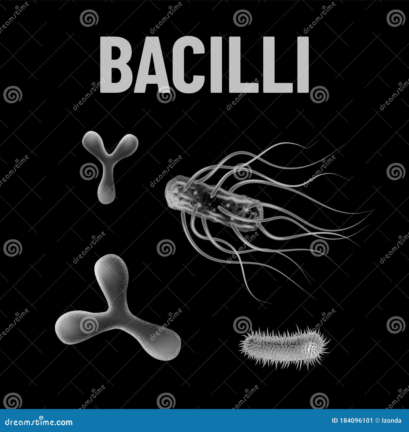 Bacilli Bacteria. Pink Rod Cells Of Infection Disease Vector ...
