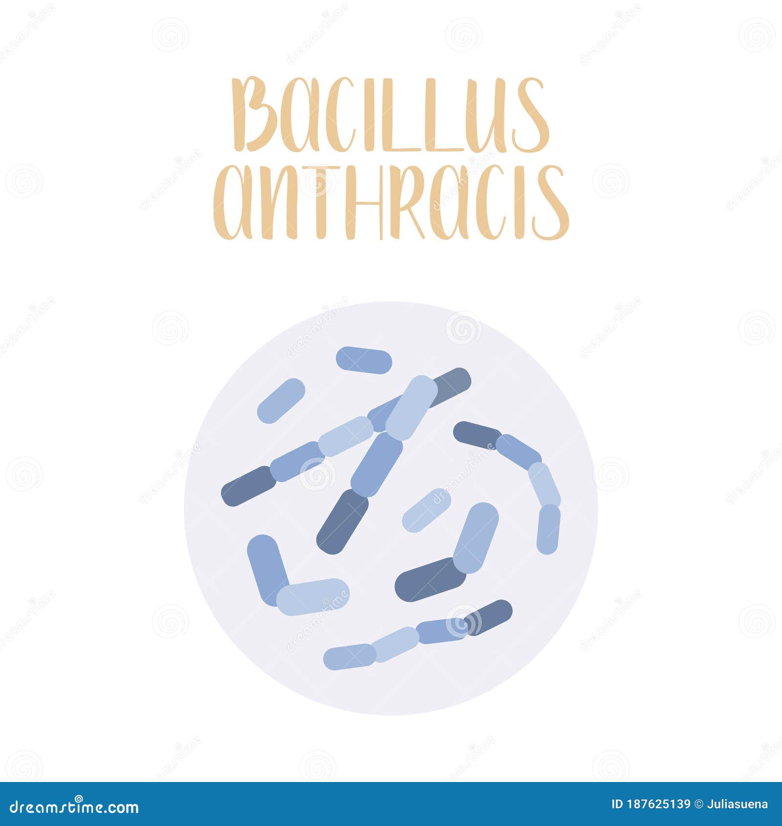 Bacillus Anthracis, Pathogen. Rod-shaped, Gram-positive Bacteria ...