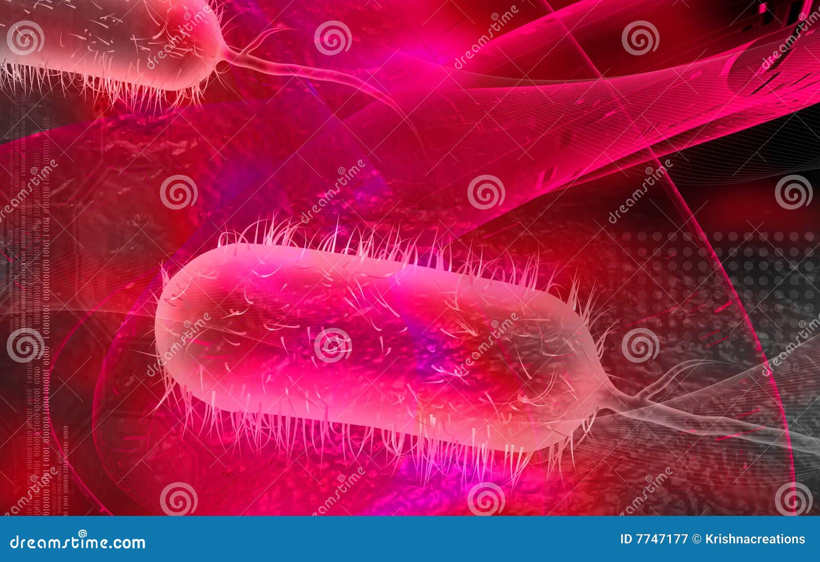Bacillus Bacteria Royalty Free Stock Photography - Image: 7747177