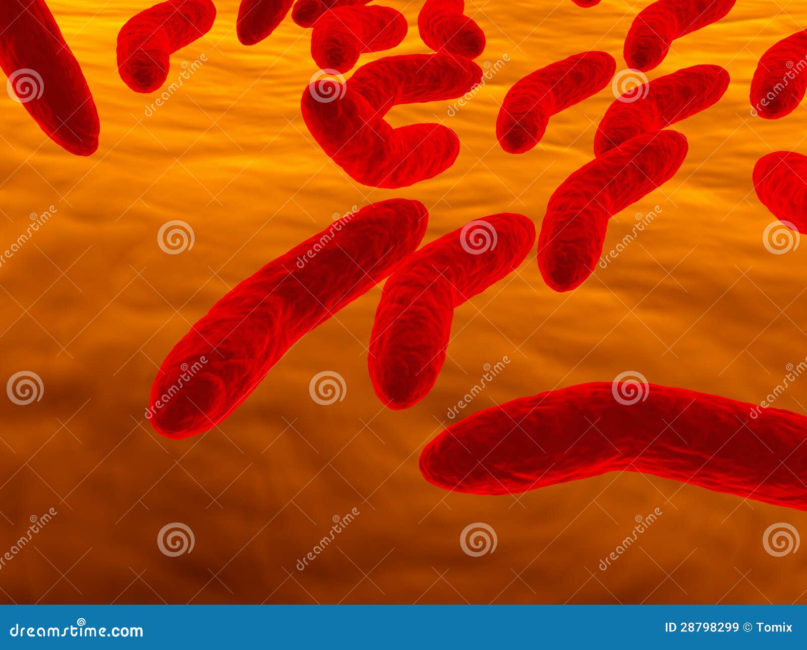 Bacteria Cells With Rough Texture Royalty-Free Stock Image ...