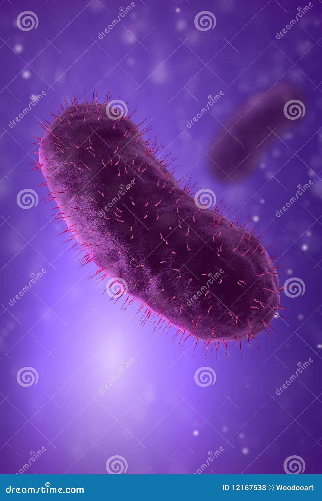 Bacillus bacteria closeup stock illustration. Illustration of human ...