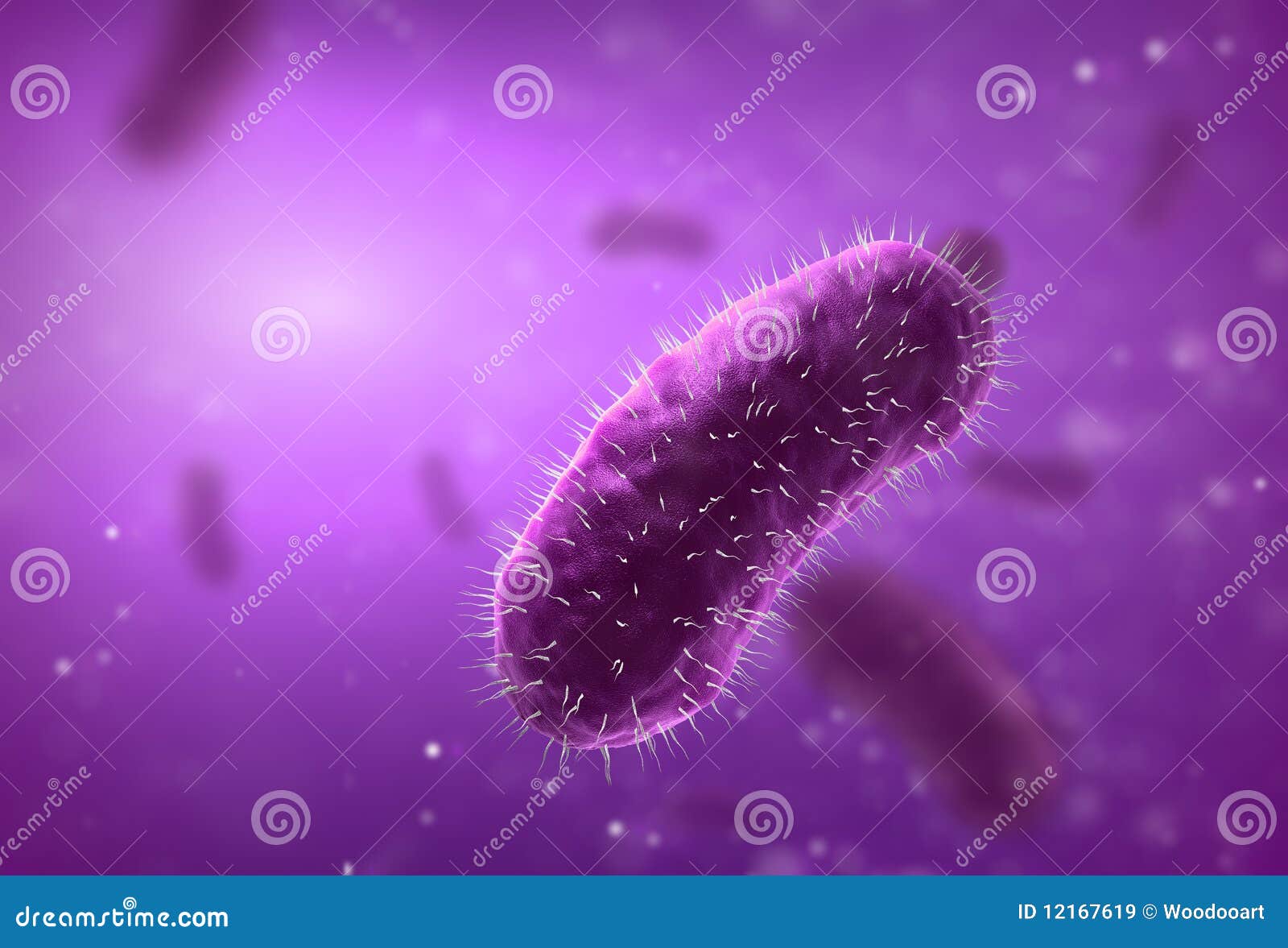 Bacillus Bacteria Closeup Royalty Free Stock Images - Image: 12167619