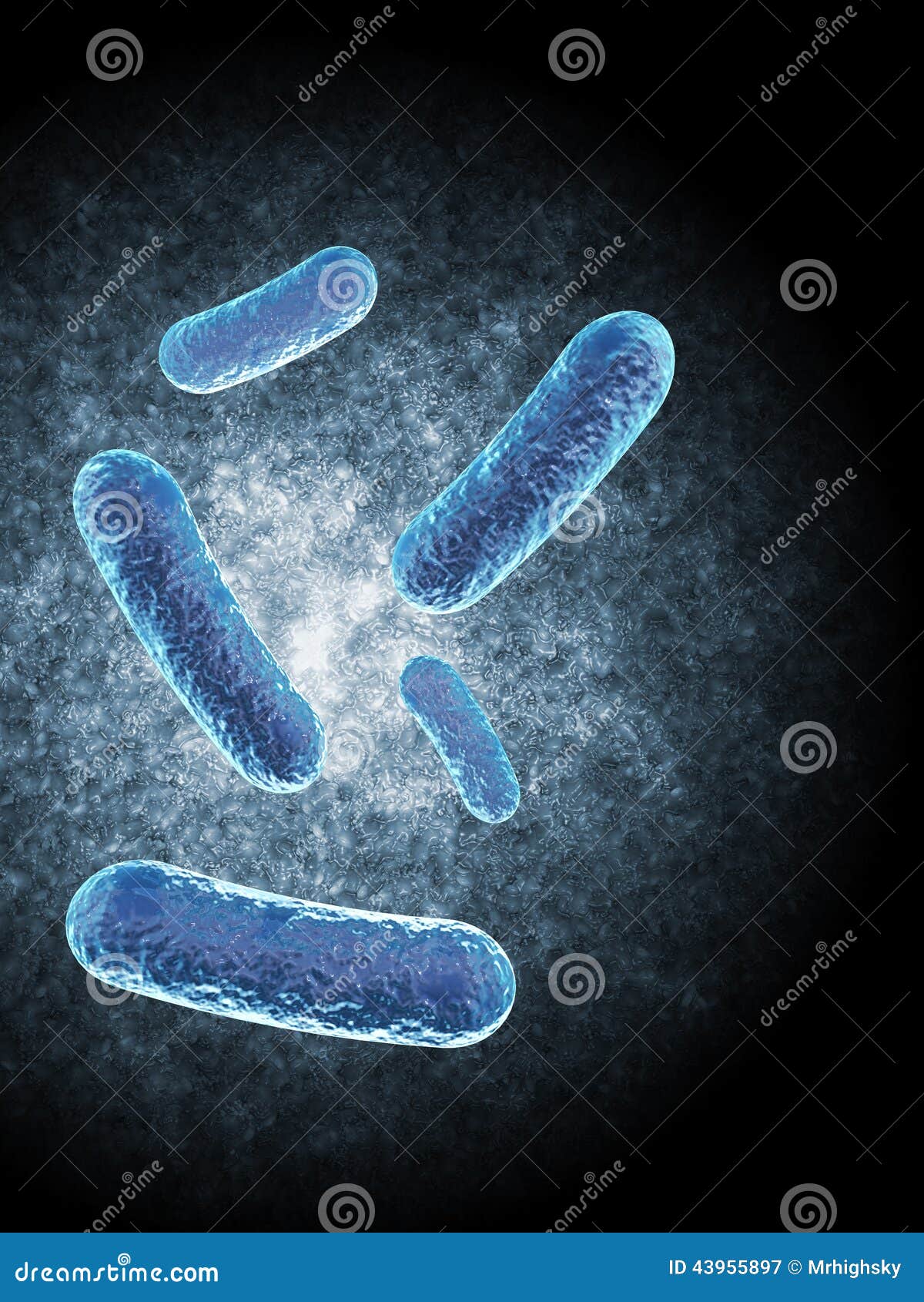Bacillus Bacteria stock illustration. Illustration of blue - 43955897