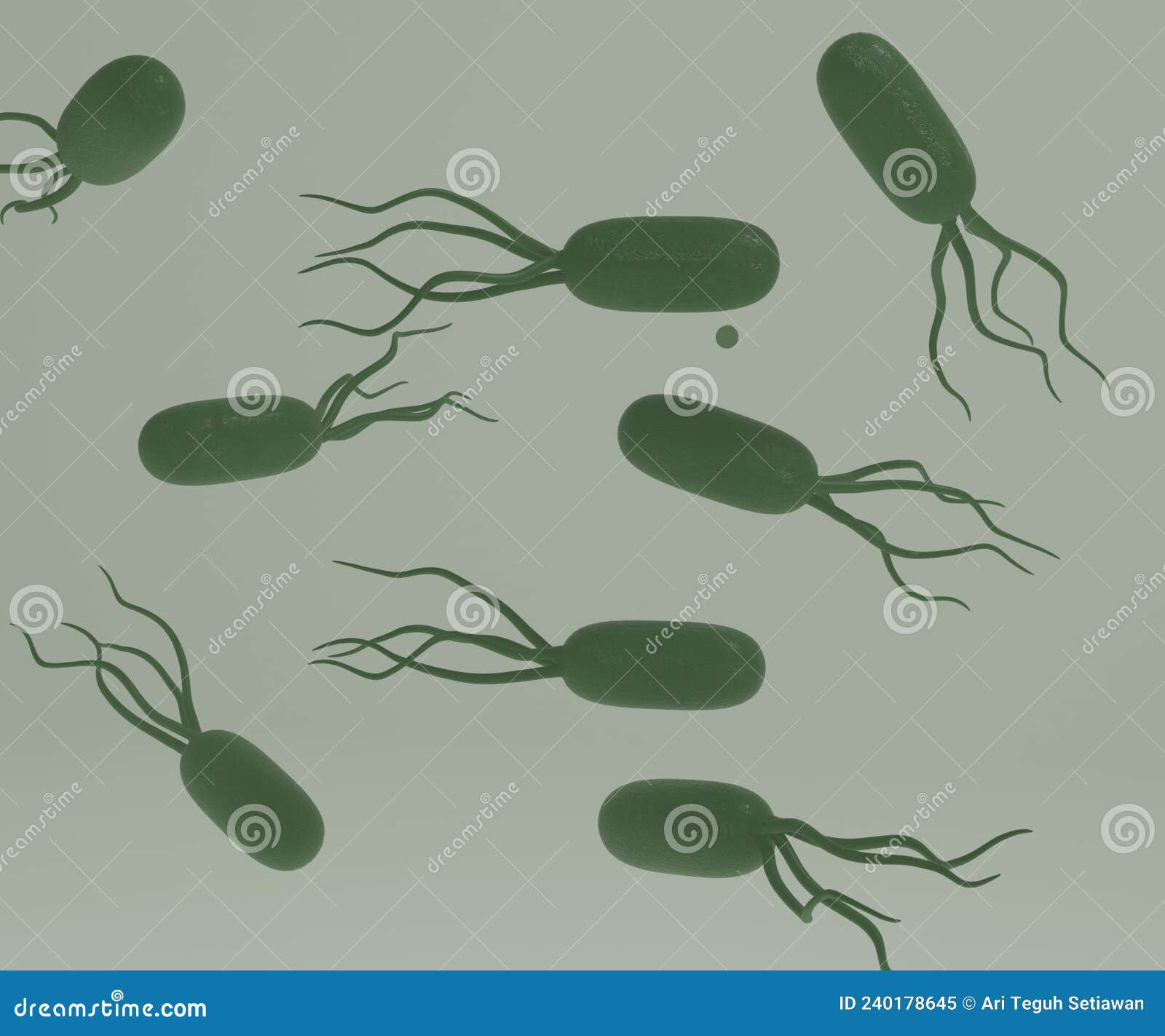 Bacillus Bacteria Swimming in the Water Stock Illustration ...