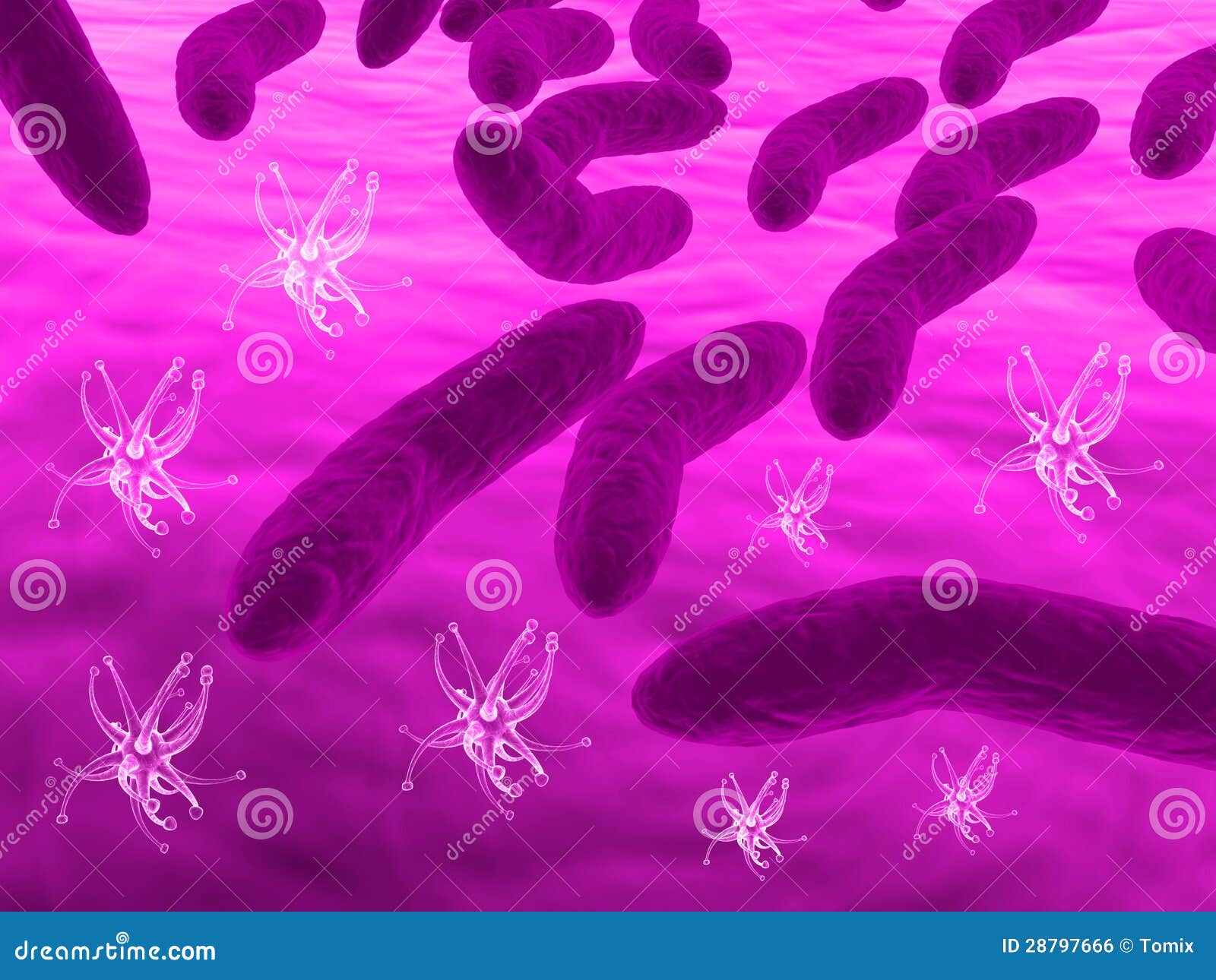Bacillus bacterias stock illustration. Illustration of genetics - 28797666