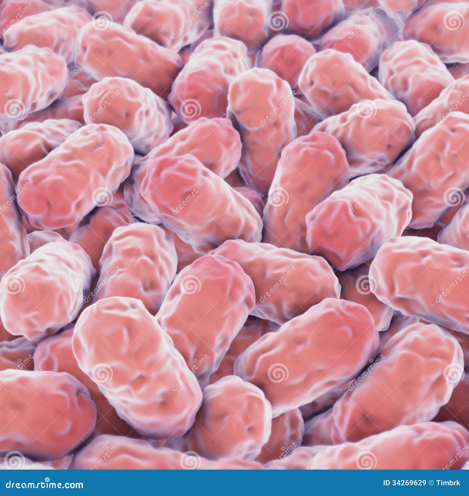 Bacillus stock illustration. Illustration of magnification - 34269629