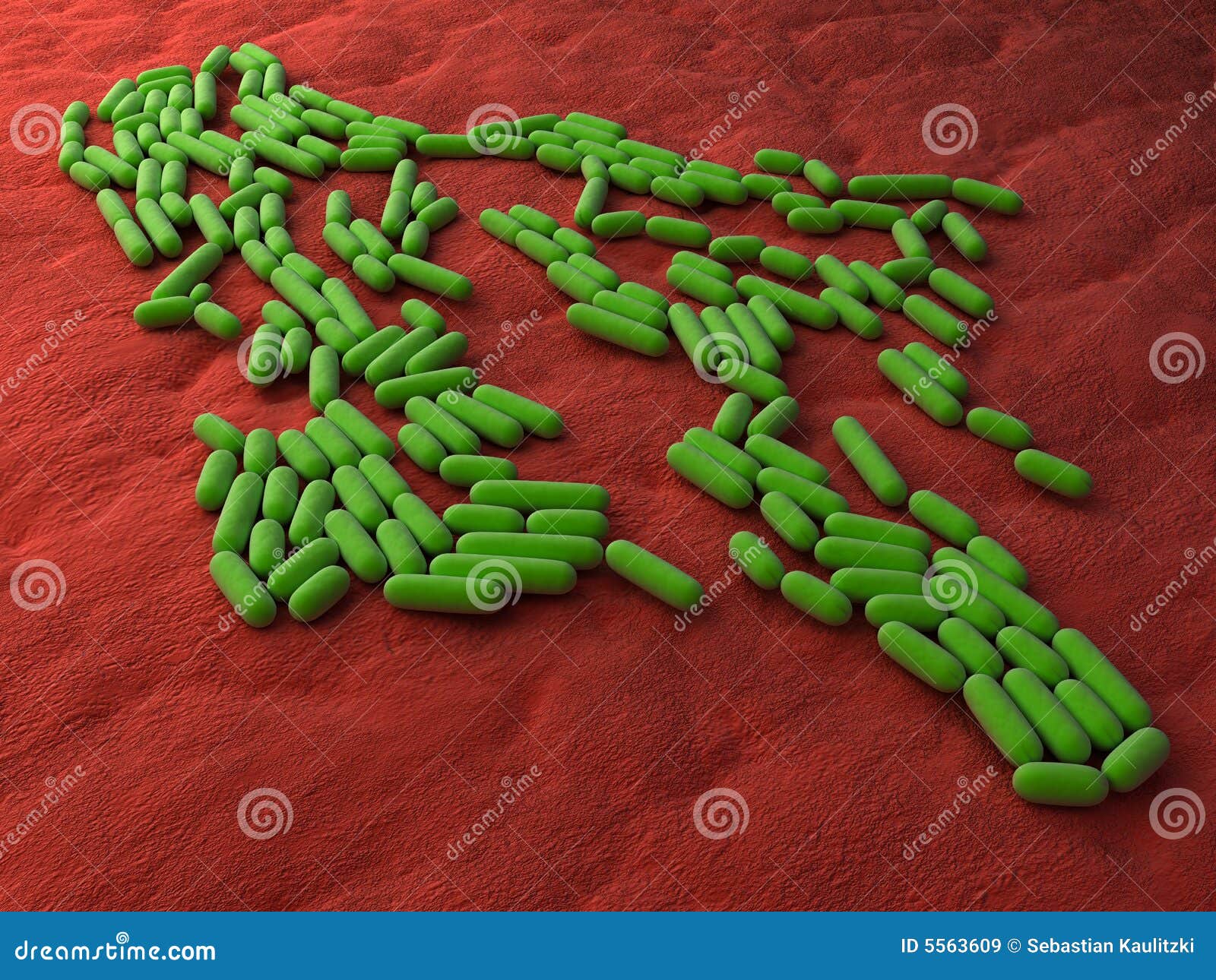 Bacillus Cartoons, Illustrations & Vector Stock Images - 36740 Pictures ...