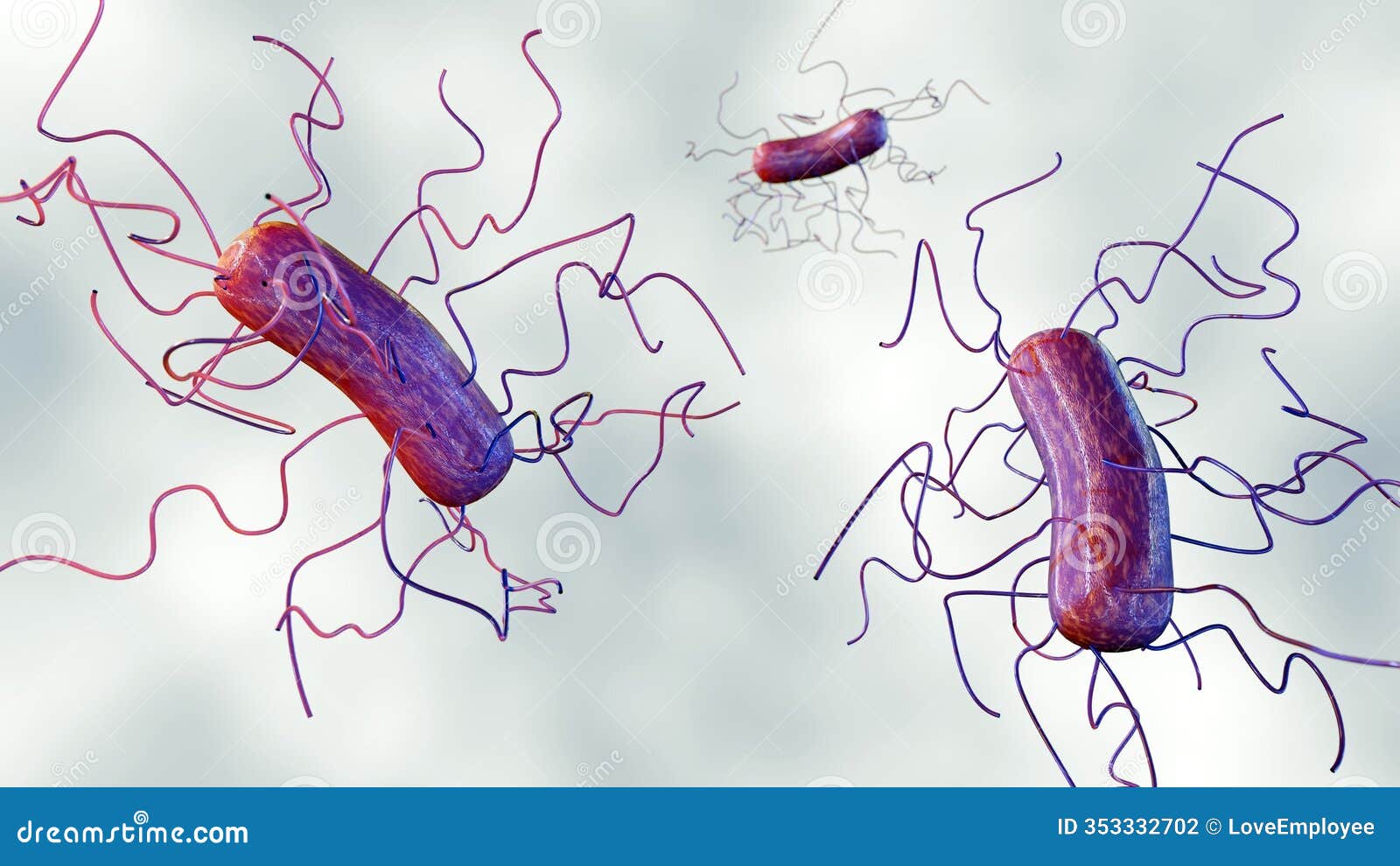 Bacillus Subtilis Bacterium With Peritrichous Flagella Royalty-Free ...