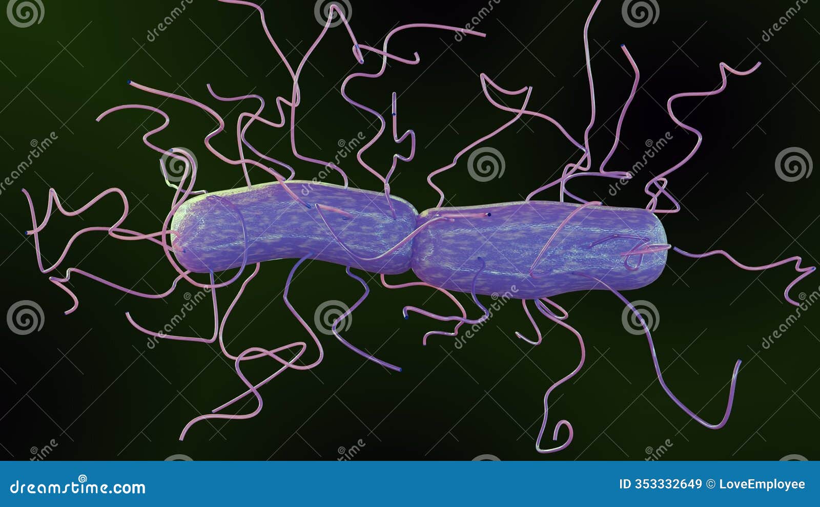 Bacillus Subtilis Bacterium With Peritrichous Flagella Royalty-Free ...
