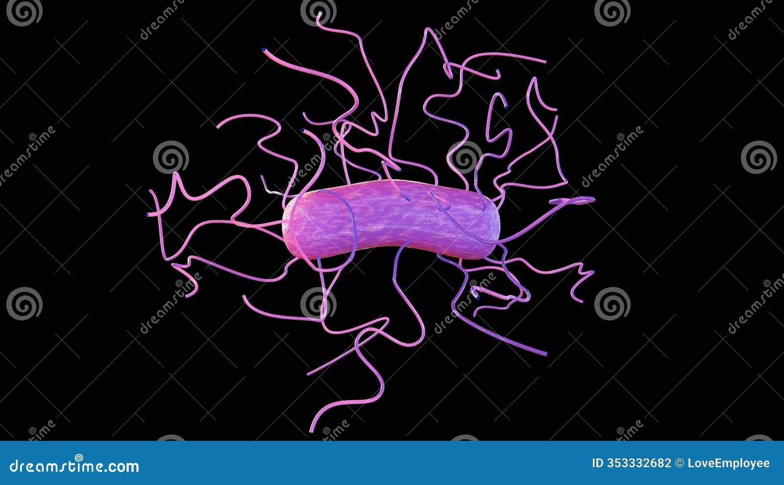 Bacillus Subtilis Spore Formation On Agar Surface Microscope Growth ...