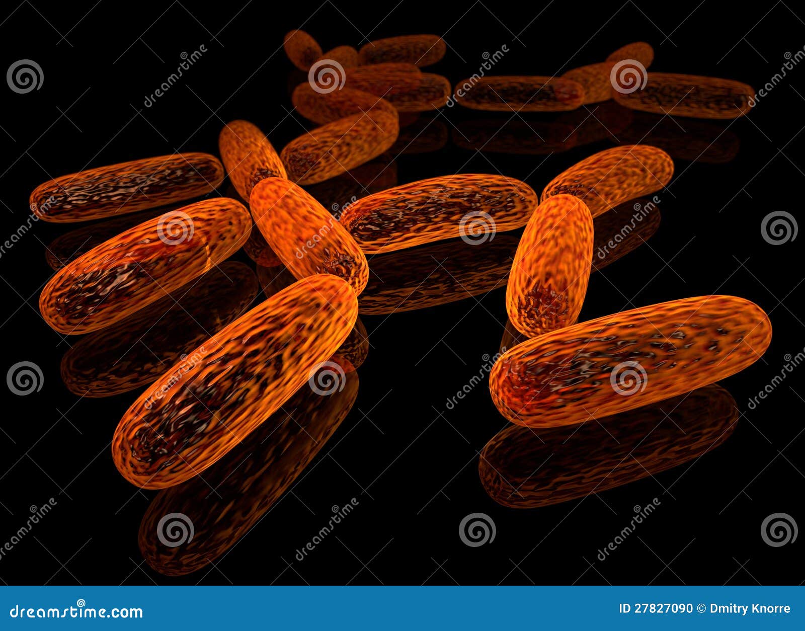 Bacilo Ilustraciones Stock, Vectores, Y Clipart – (3,876 Ilustraciones ...