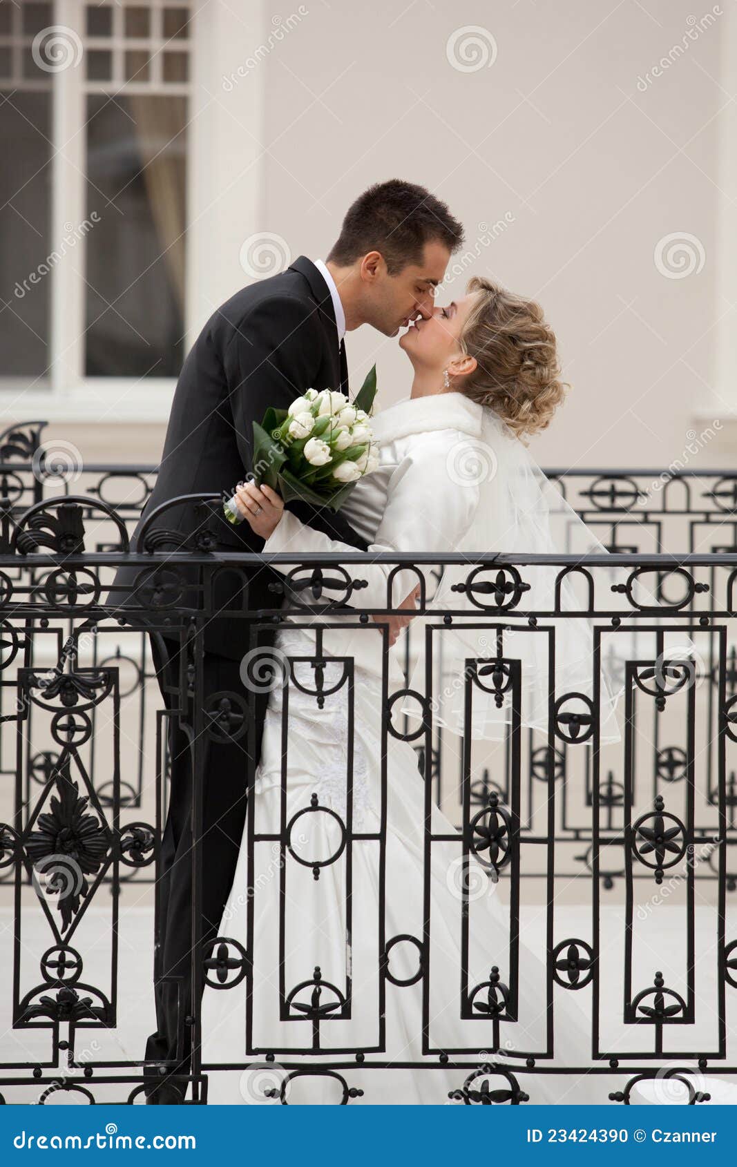 Bacio Wedding fotografia stock. Immagine di associazione - 23424390
