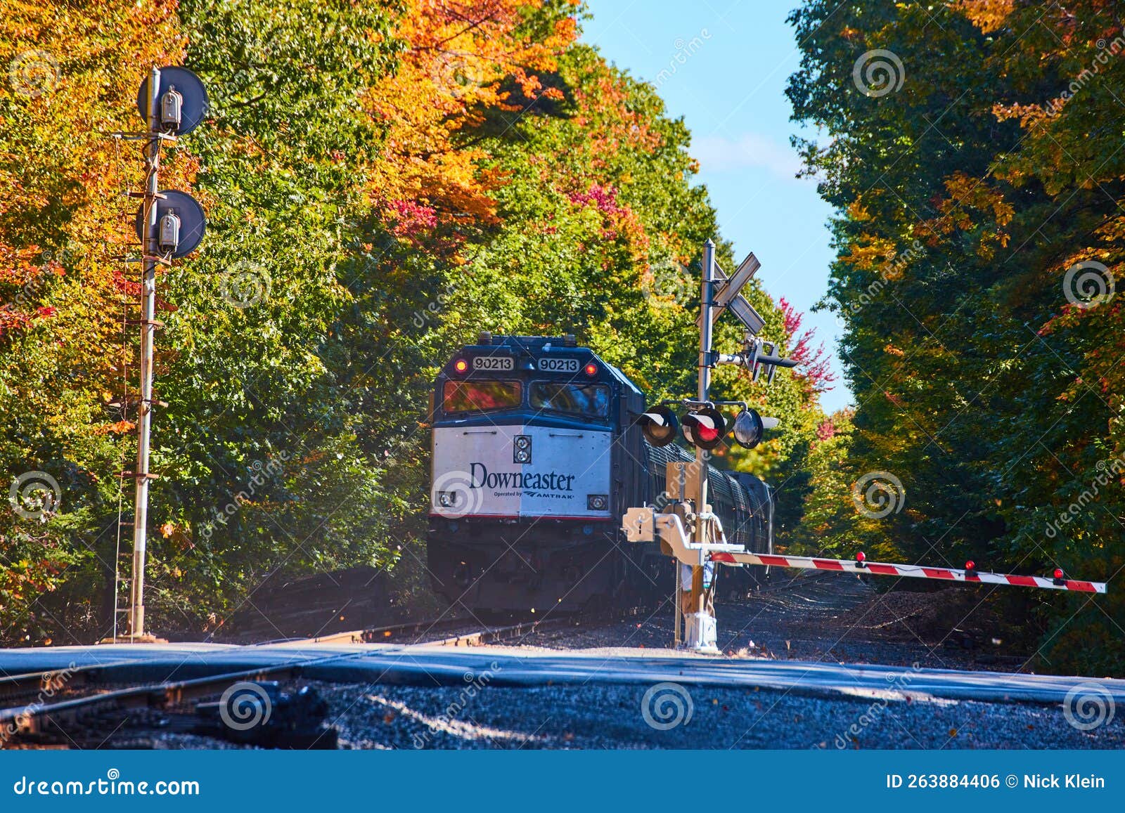 Back of Amtrak Train Going Over Road and through Fall Forest Editorial ...