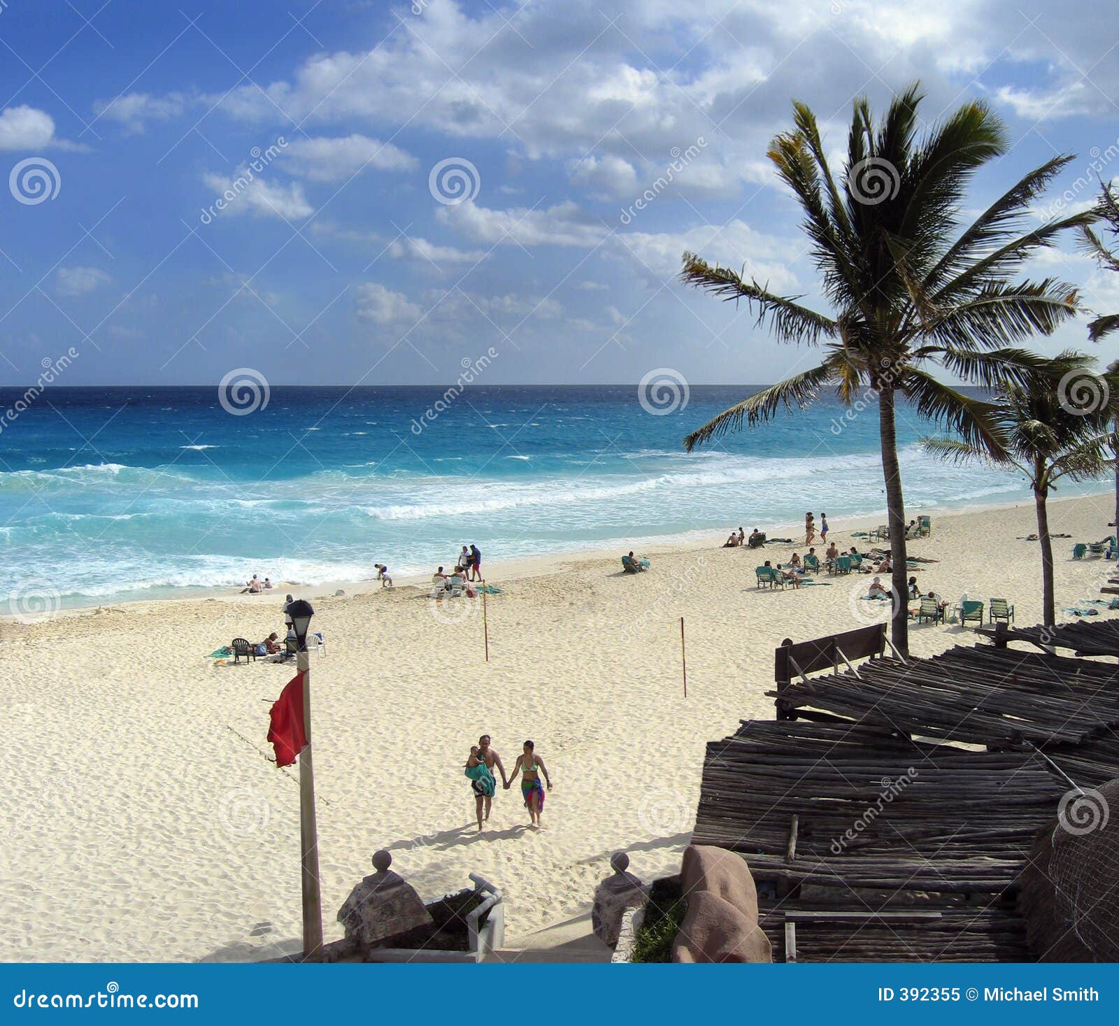 Back from the beach stock image. Image of tree, spring - 392355