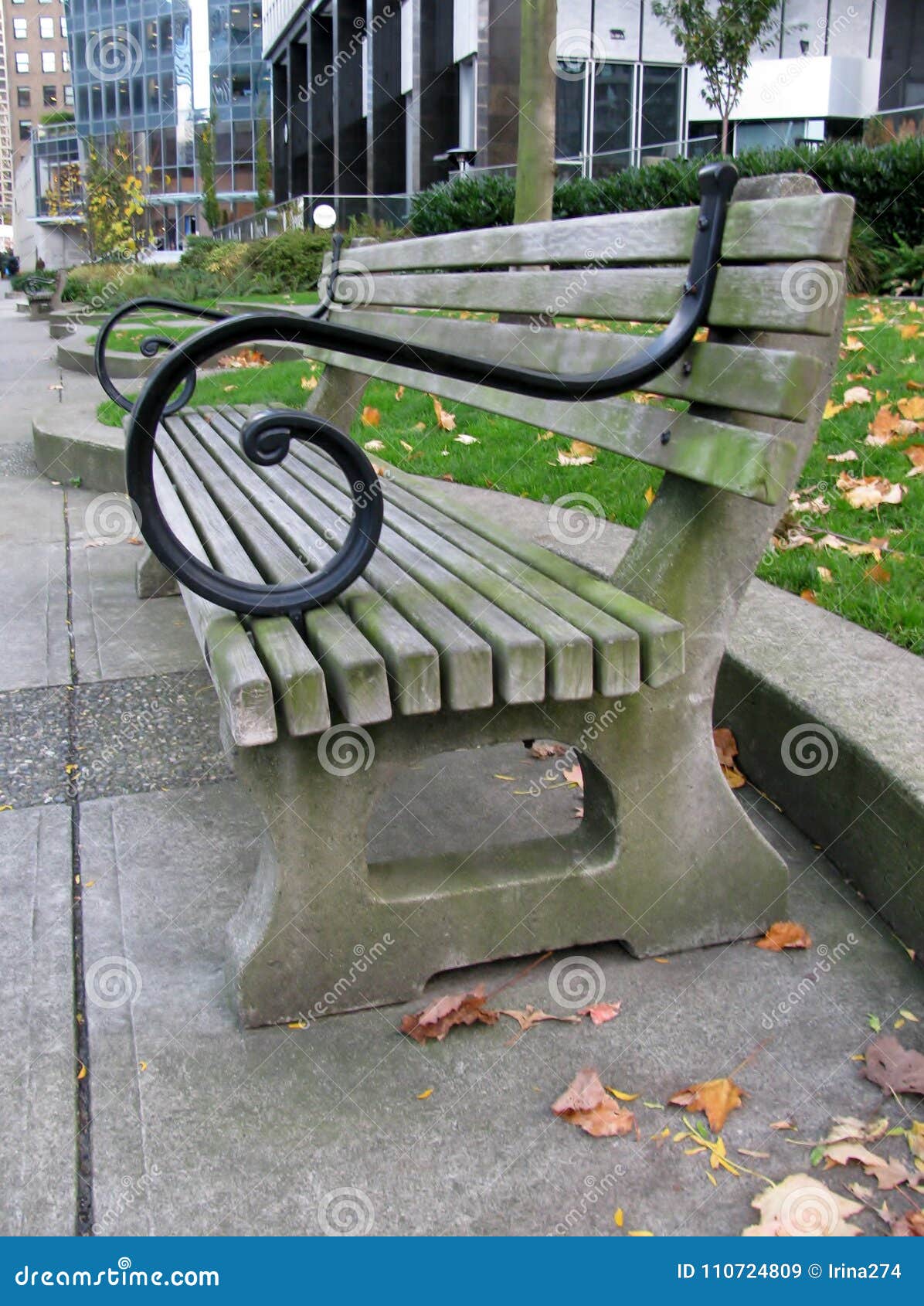 Back Bench in the Park, Vancouver, BC, Canada Stock Image - Image of ...