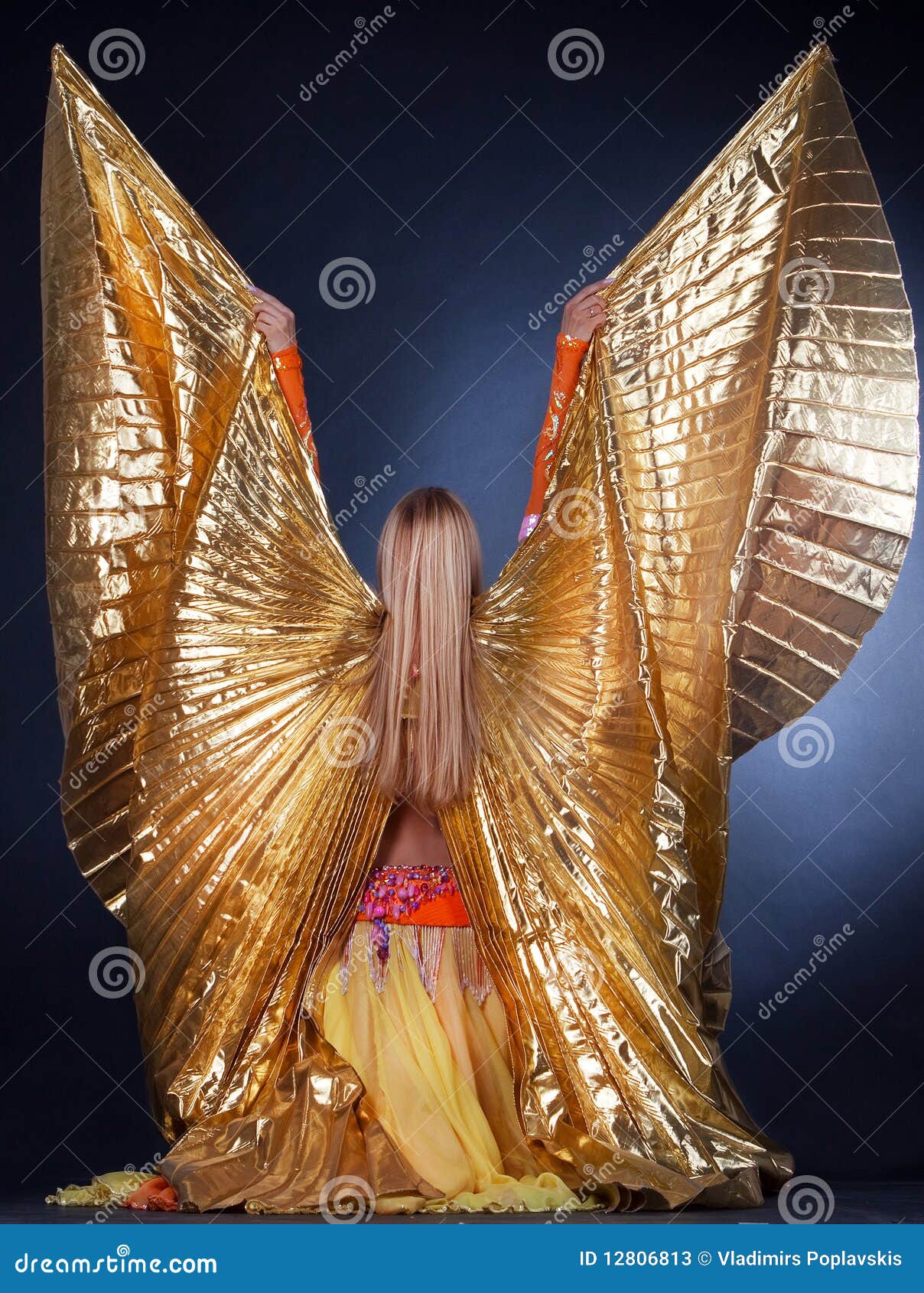 Back of blonde with wings stock image. Image of glossy - 12806813