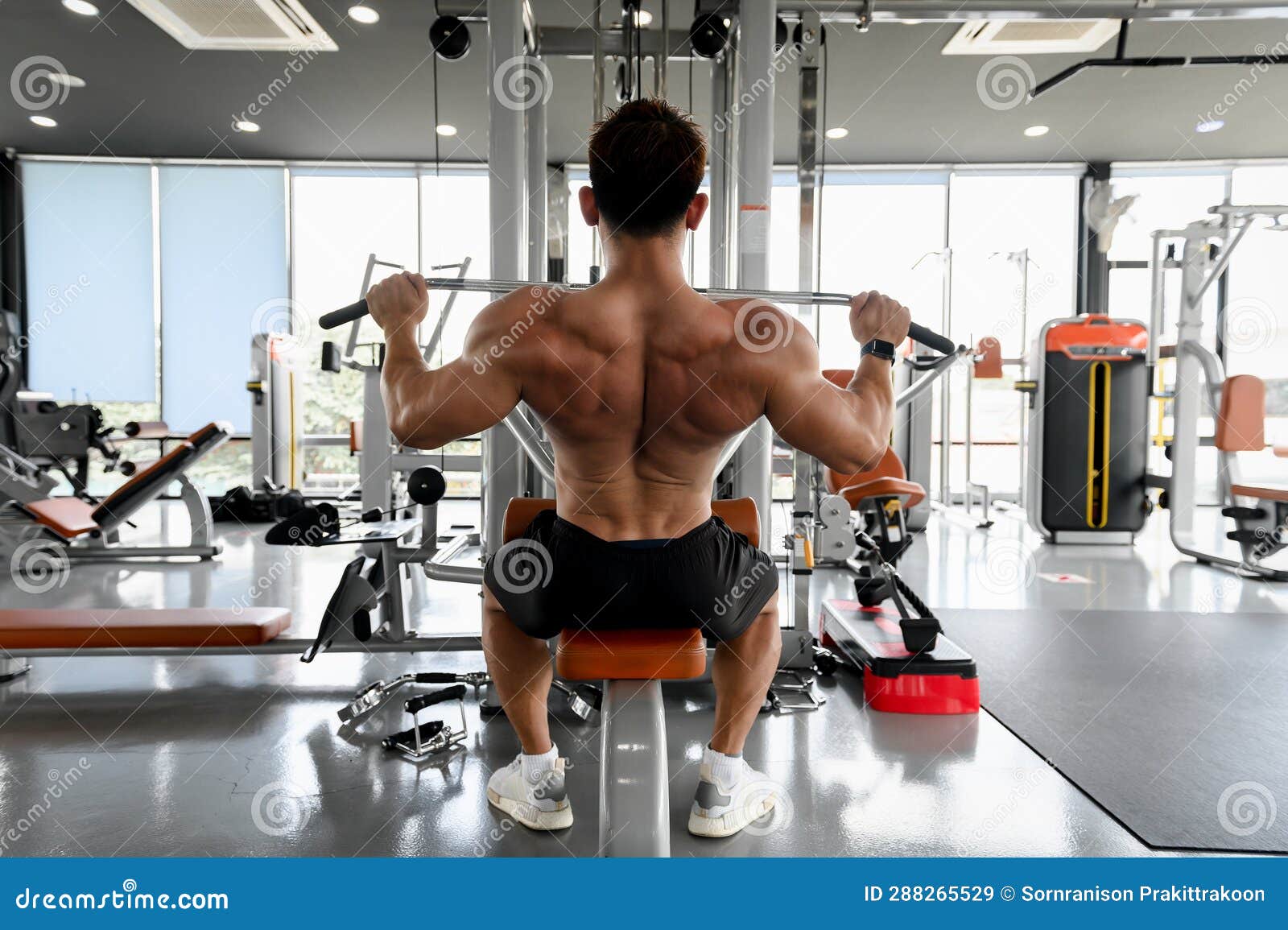 Back of Bodybuilder Man while Workout Doing Cable Rope Pushdowns ...