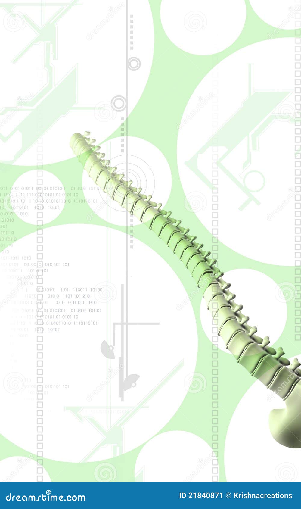 Back bone stock illustration. Illustration of medical - 21840871