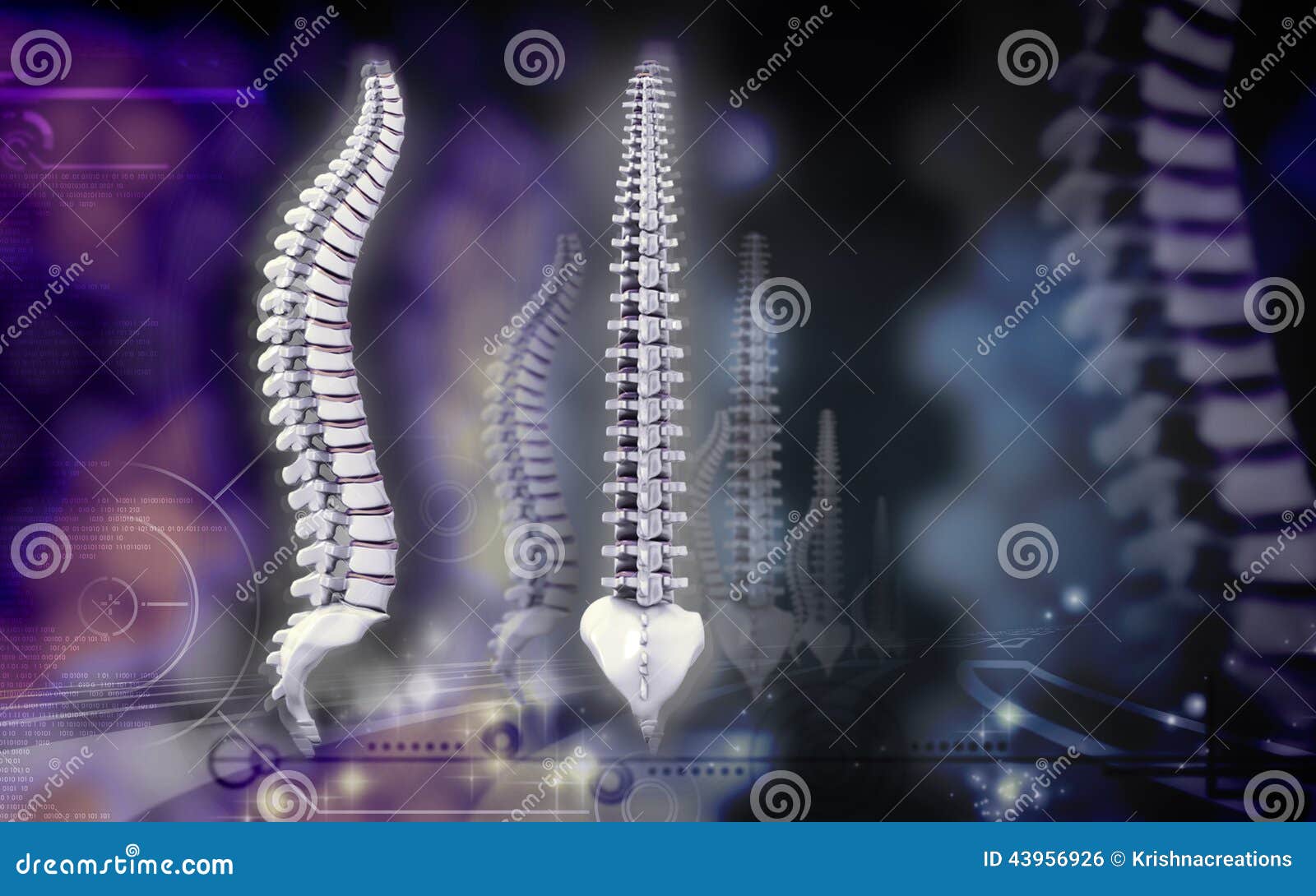 Back Bone Stock Illustrations – 13,865 Back Bone Stock Illustrations ...