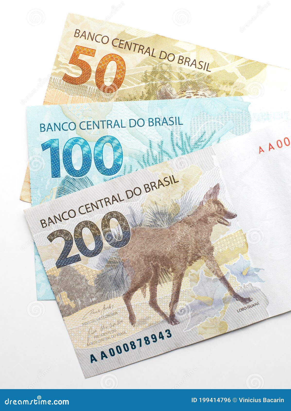Back of the Brazilian Banknotes Stock Photo - Image of ounce, garoupa ...