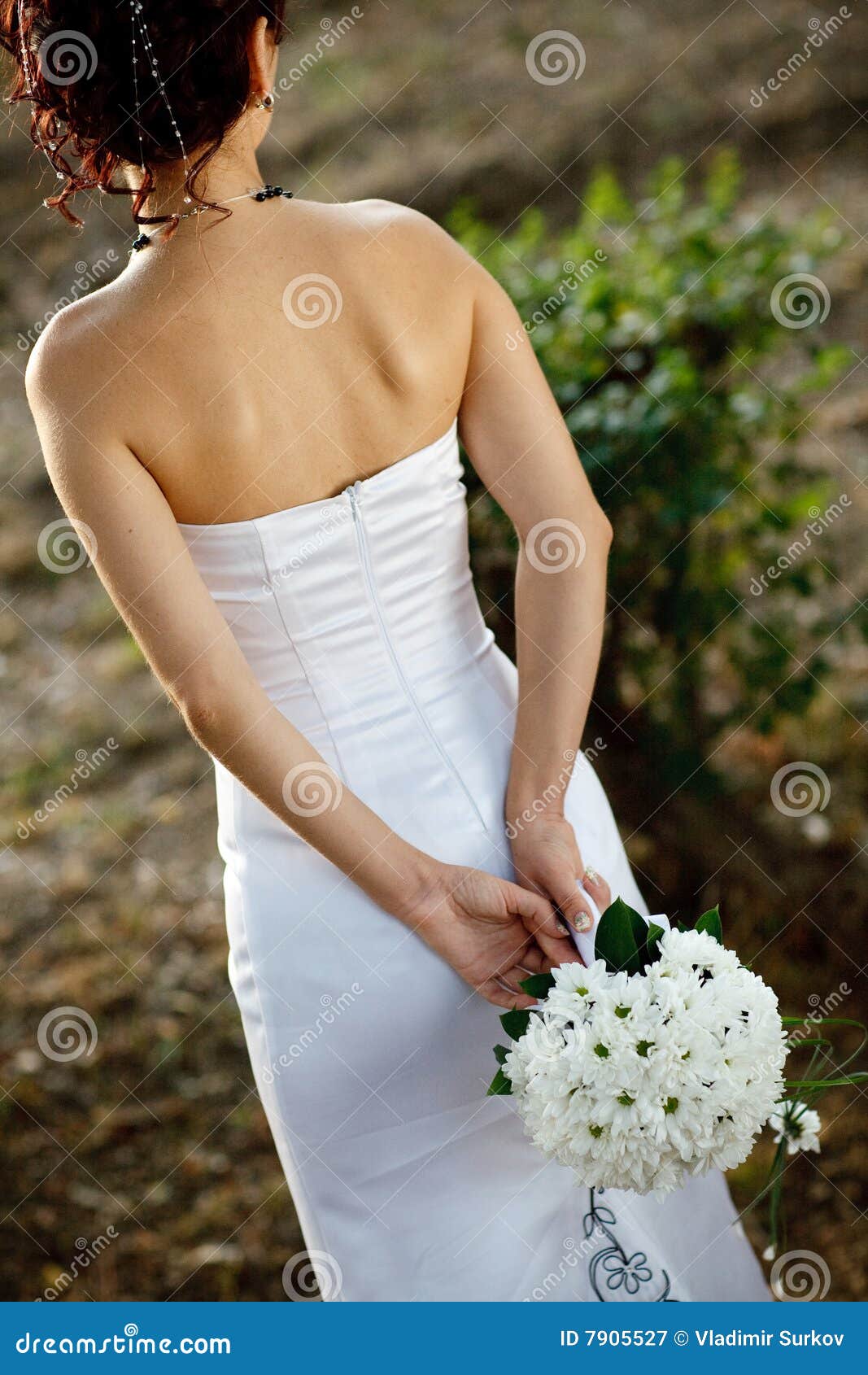 Back of the bride stock image. Image of bride, nature - 7905527