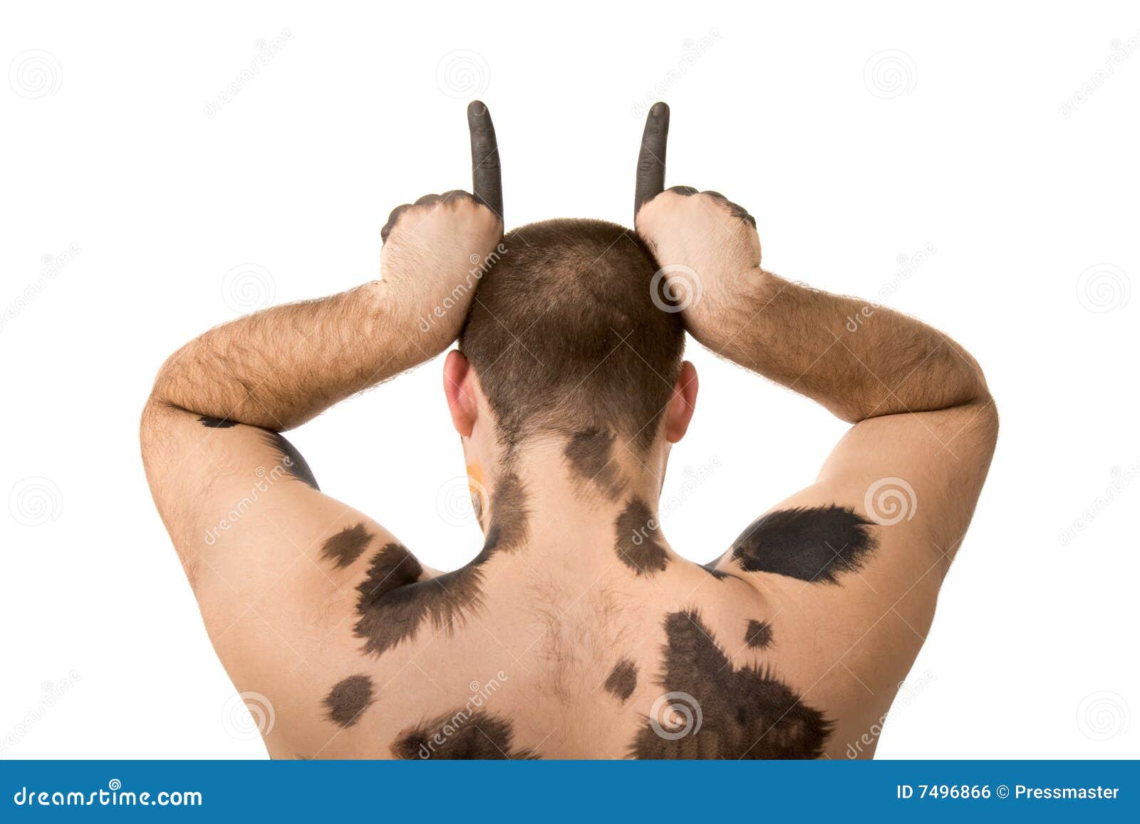 Back of bull man stock photo. Image of isolation, expressing - 7496866