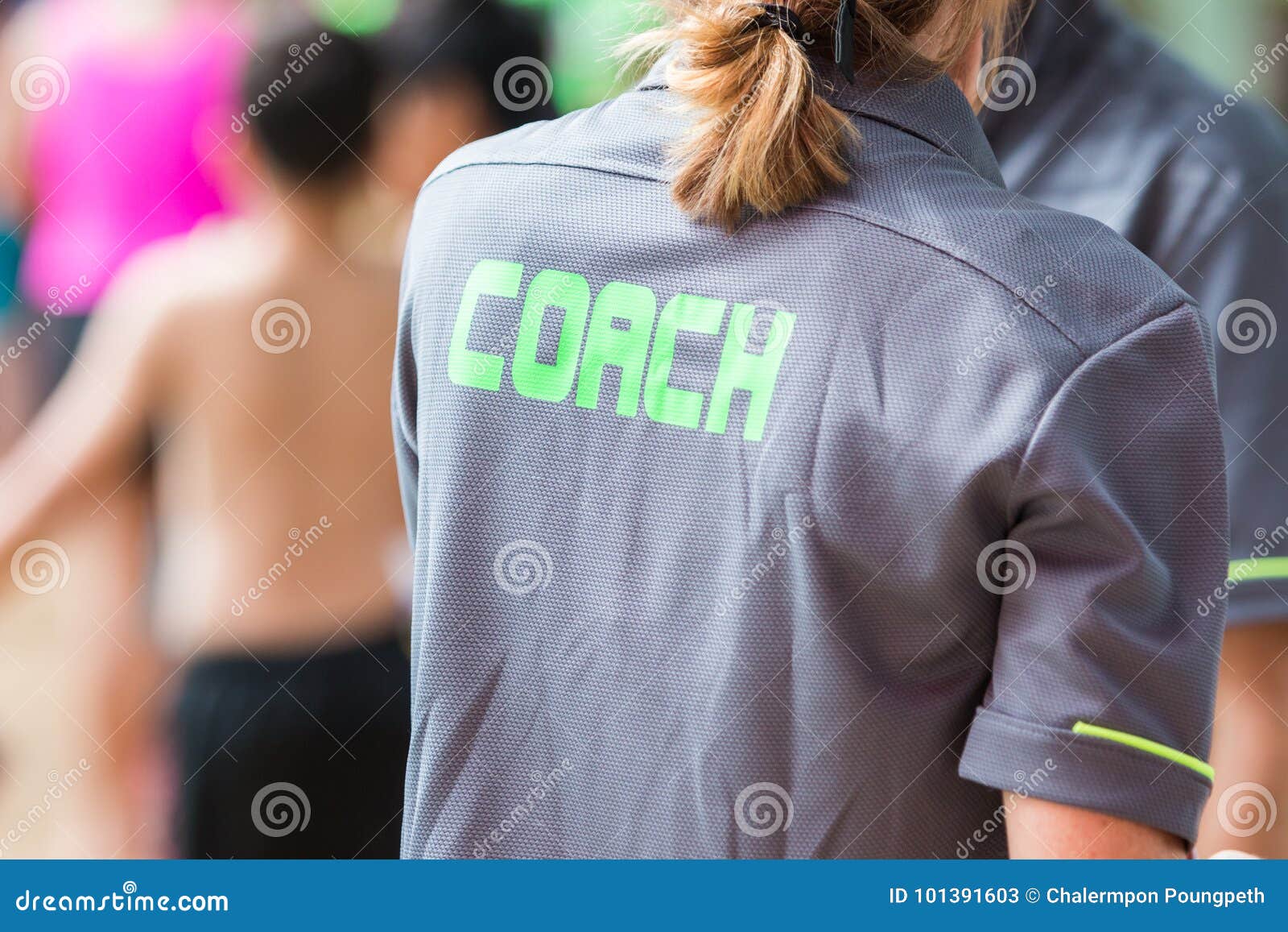 Back of a Coach`s Grey Shirt with the Green Word Coach Written O Stock ...