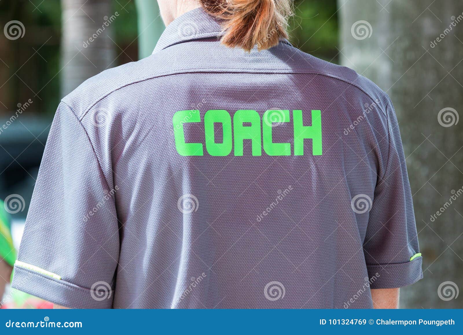 Back of a Coach`s Grey Shirt with the Green Word Coach Written O Stock ...