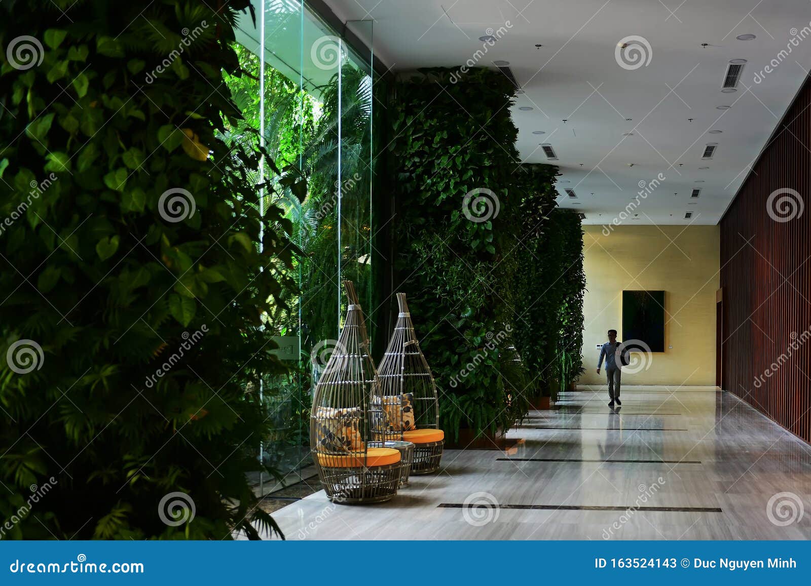 Back corridor in the hotel stock image. Image of plants - 163524143