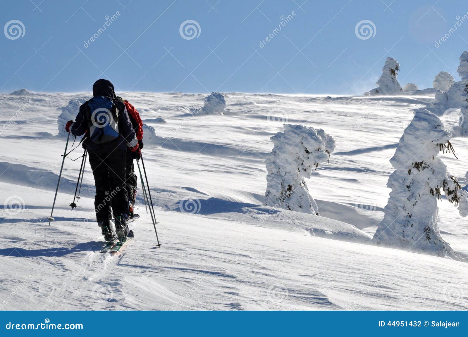 Back Country Skier (ski Touring) Stock Photo - Image of romania, snow ...