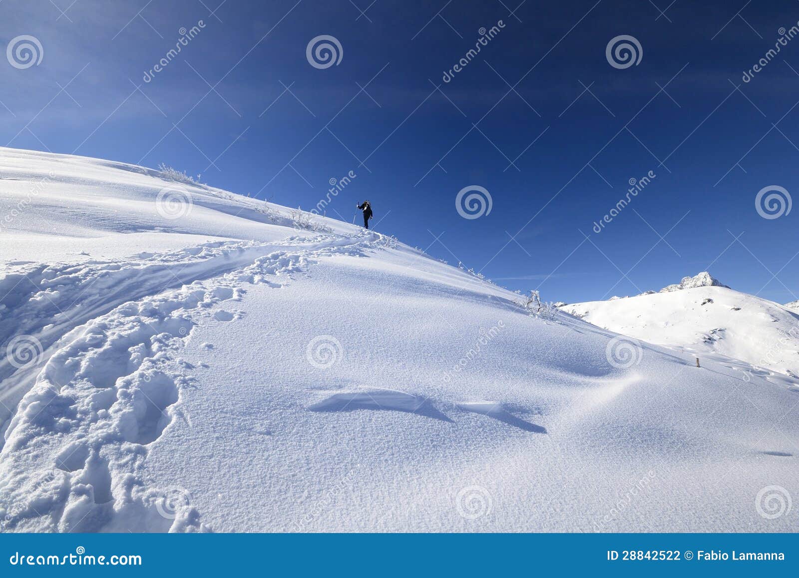 Back country skiing stock photo. Image of italy, back - 28842522
