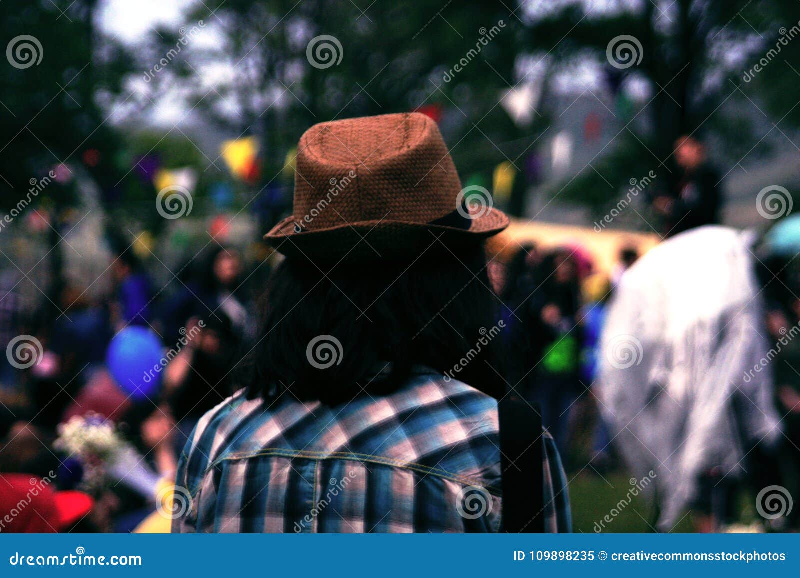 Back, Crowd, Festival Picture. Image: 109898235