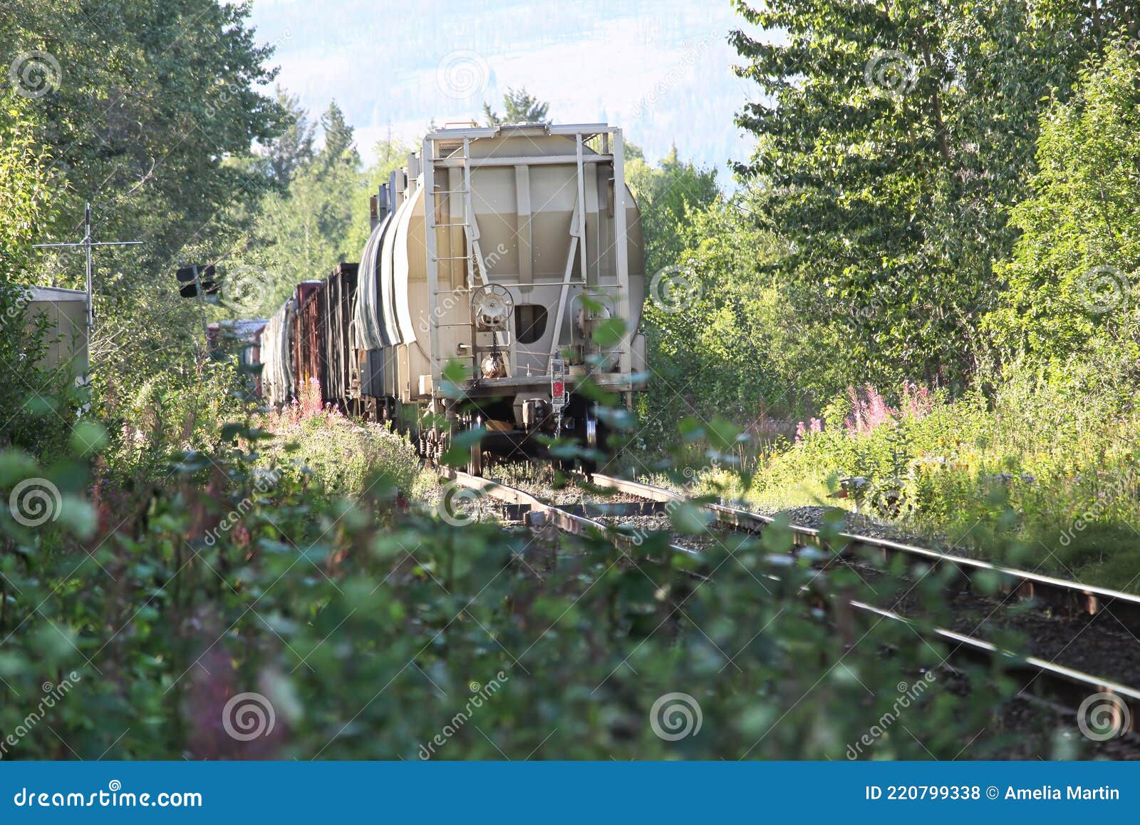 The Back End of a Train As it Goes through a Wooded Area Stock Photo ...