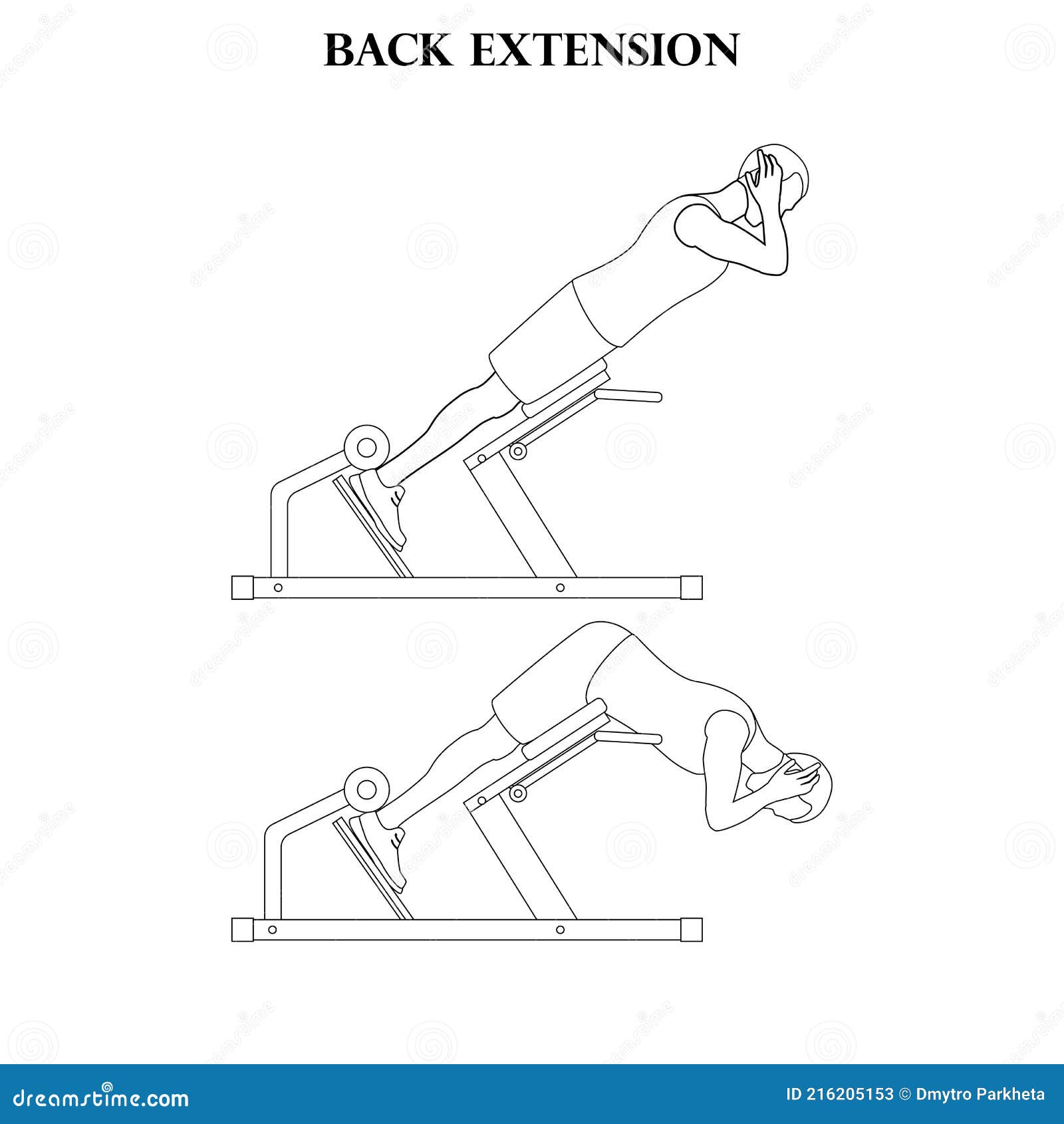 Back Extension Exercise Strength Workout Vector Illustration Outline ...