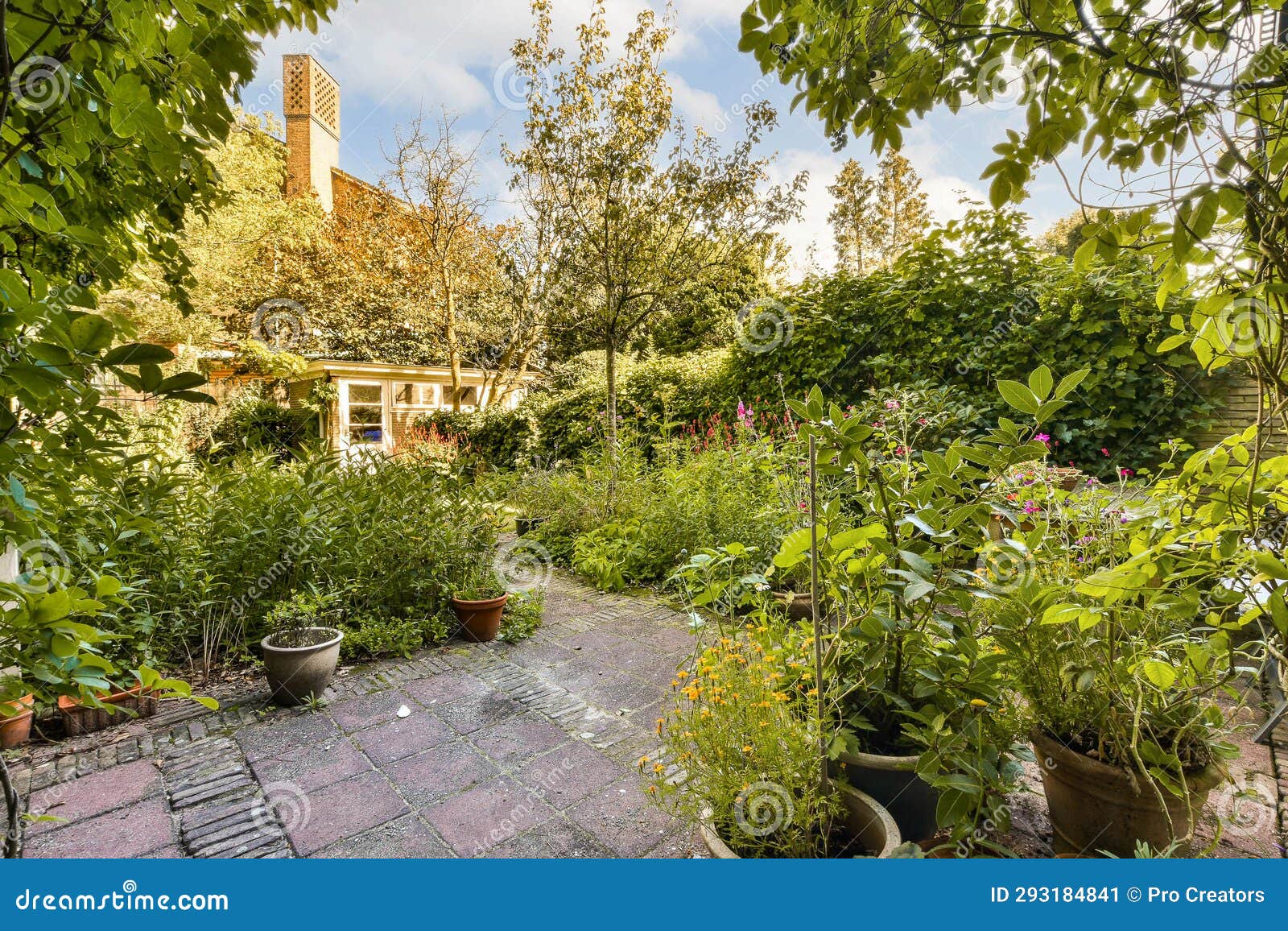 The Back Garden is Full of Plants and Trees Stock Image - Image of ...