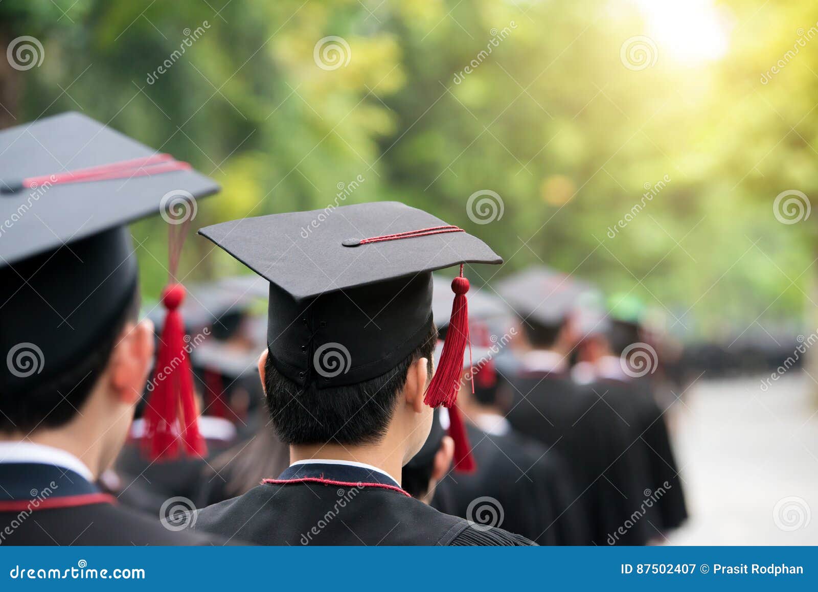 Back of Graduates during Commencement at University. Close Up at Stock ...