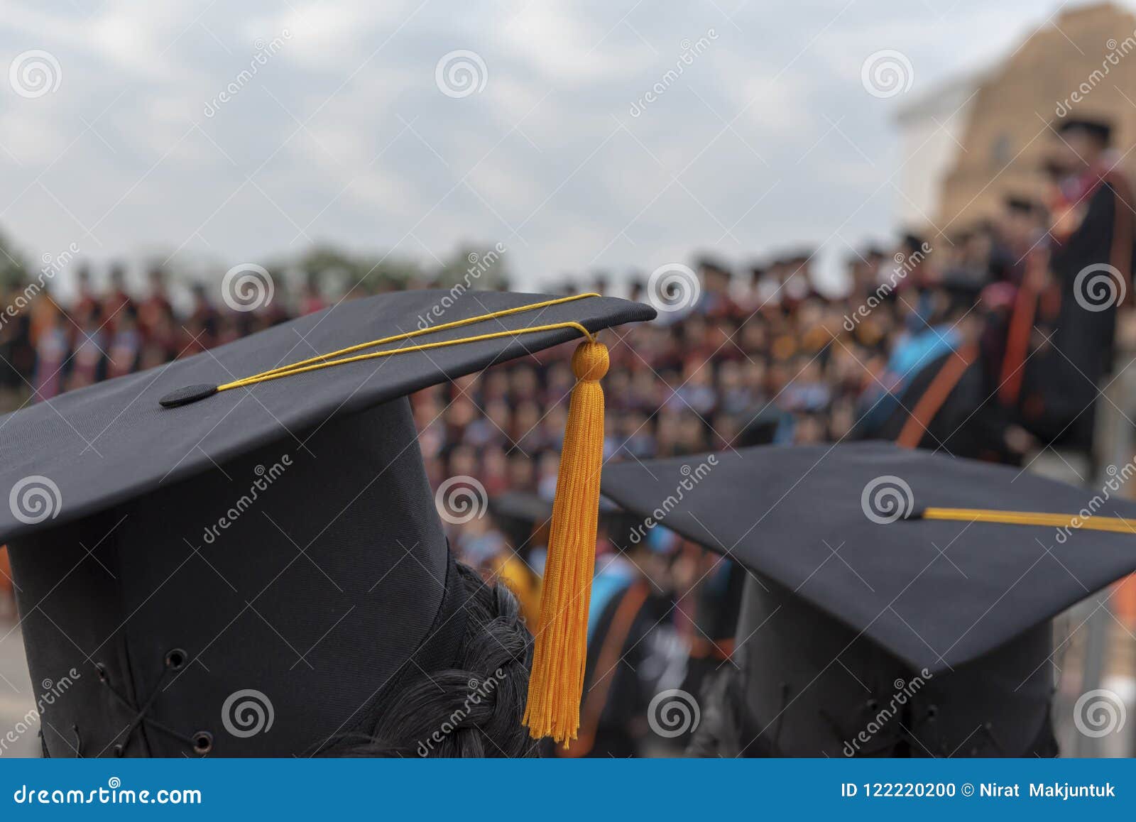 Back of Graduation with Black Yellow Tail Cap at Ceremony in Graduation ...
