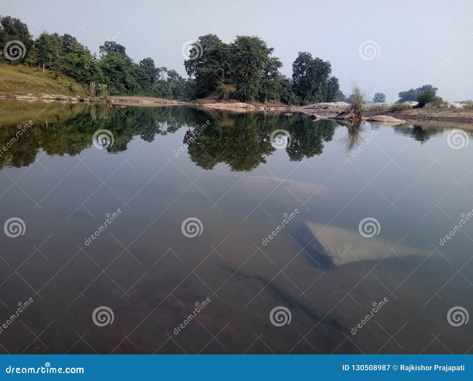 Natural Seen with Shaded Trees Stock Image - Image of natural, back ...