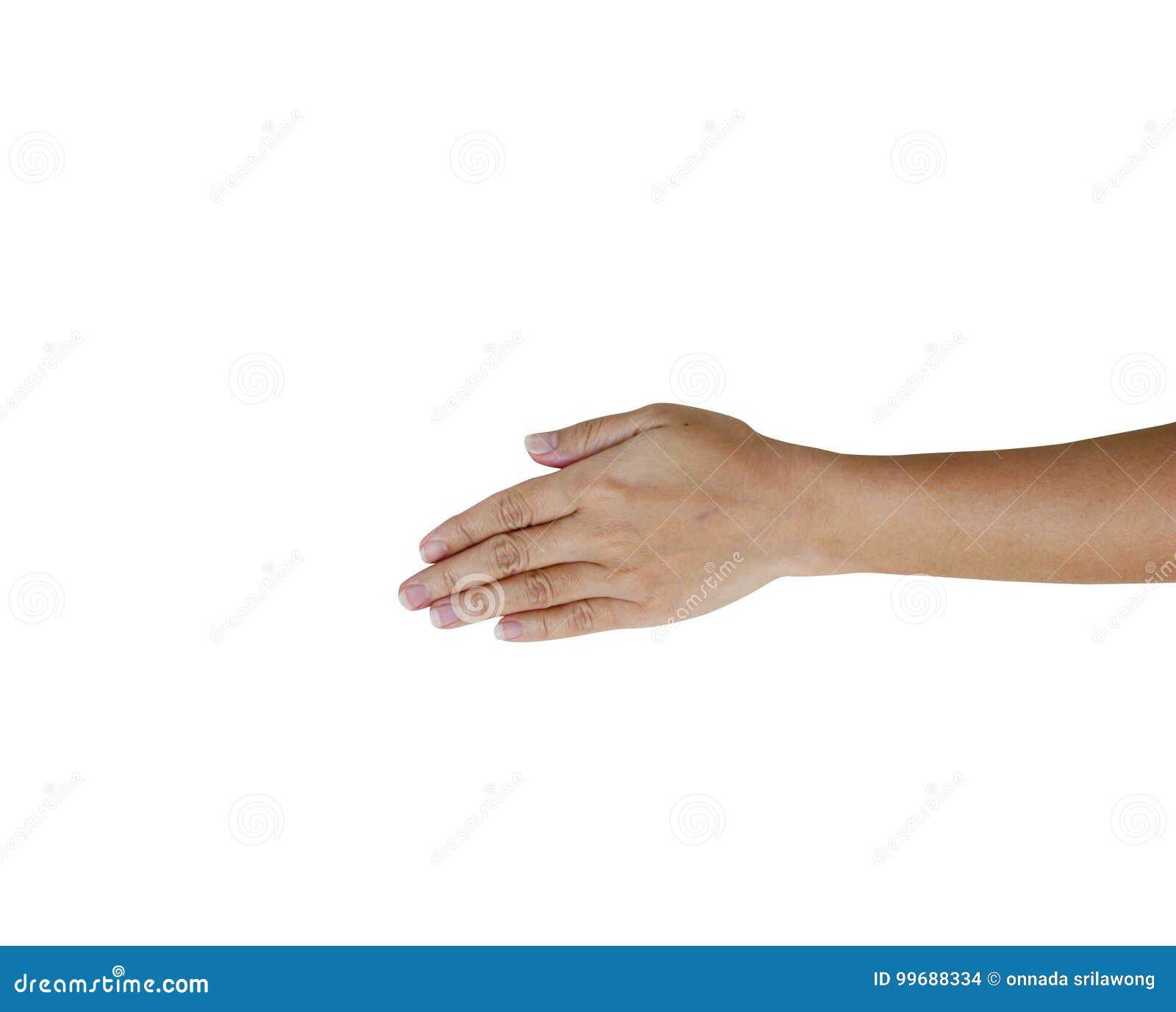 Back Hand and Fingers of Healthy Woman Isolate Stock Photo - Image of ...