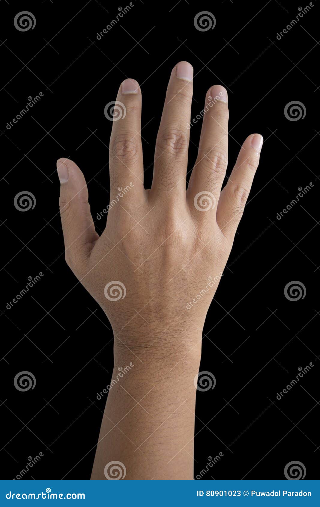 Back of the Hand Isolated on Black Stock Image - Image of index, close ...
