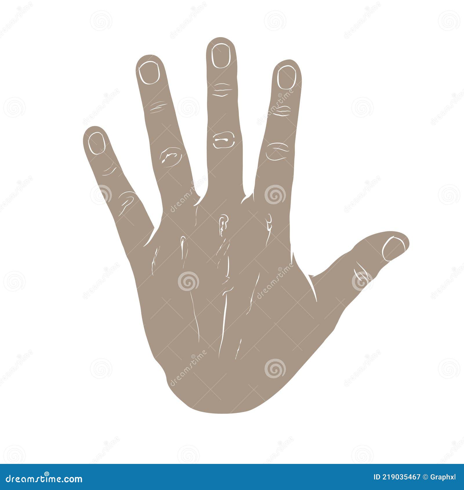 The Back of the Hand, Silhouette with Inner Details Stock Vector ...