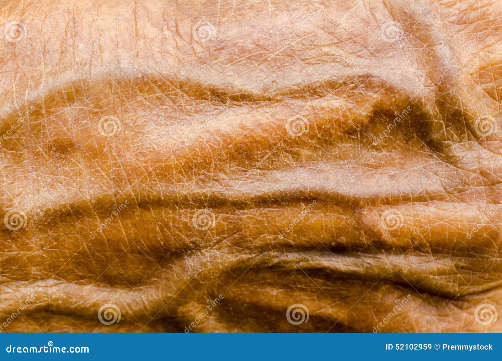 Back of the hand stock image. Image of pair, aged, caucasian - 52102959