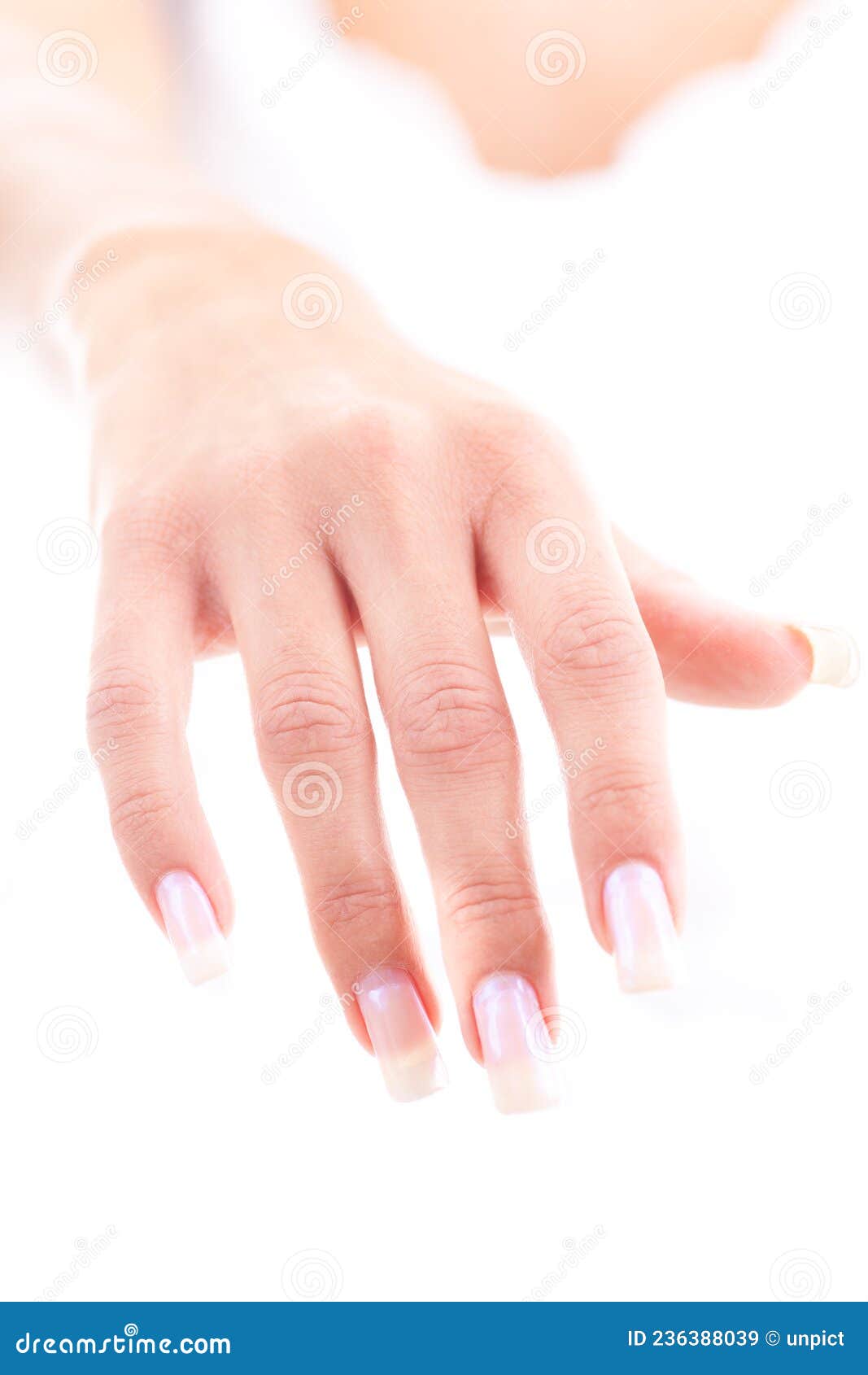 Back of the Hand of a Woman`s Hand Stock Image - Image of finger, form ...