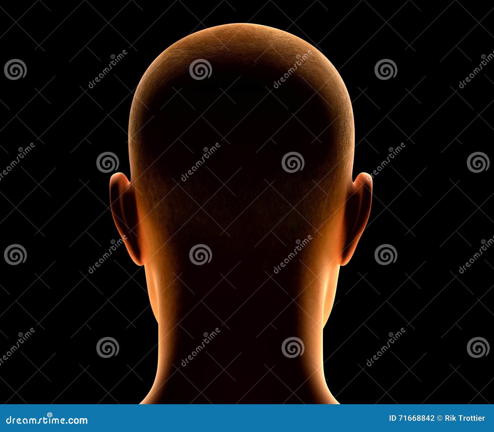 Back of head stock illustration. Illustration of ignore - 71668842