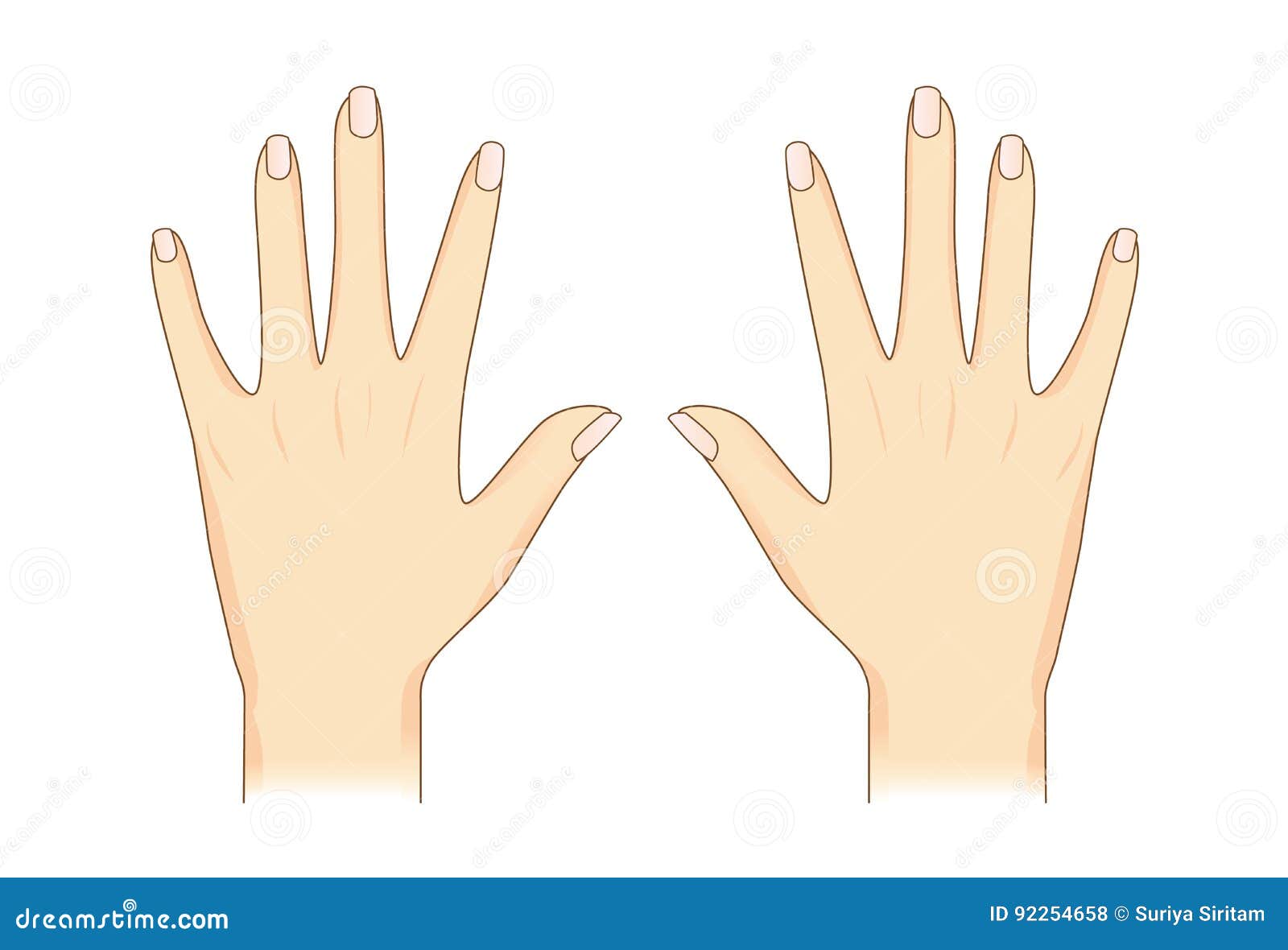 Back of human hand. stock vector. Illustration of hold - 92254658